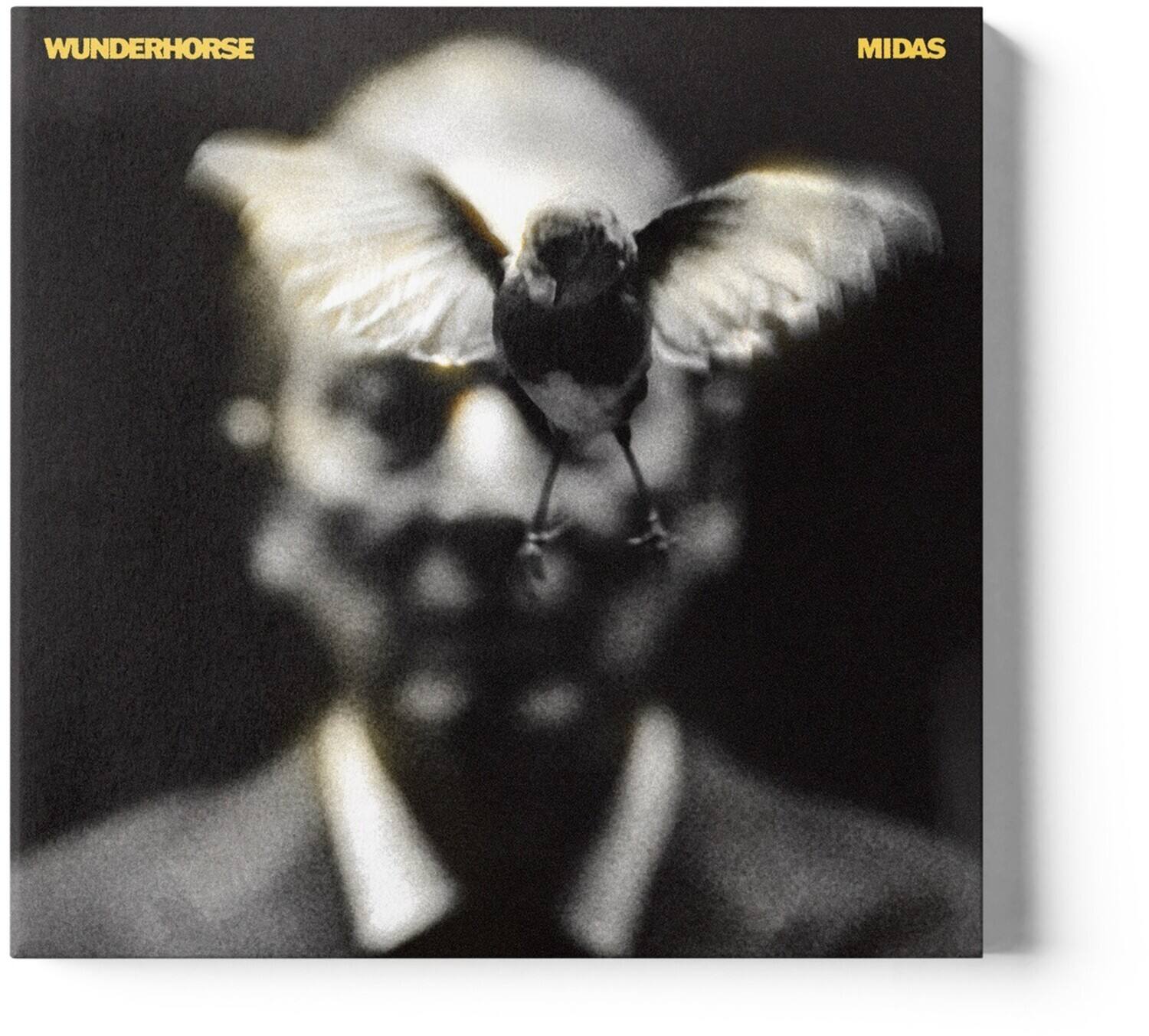Wunderhorse Midas COMPACT DISCS [CD] - Best Buy