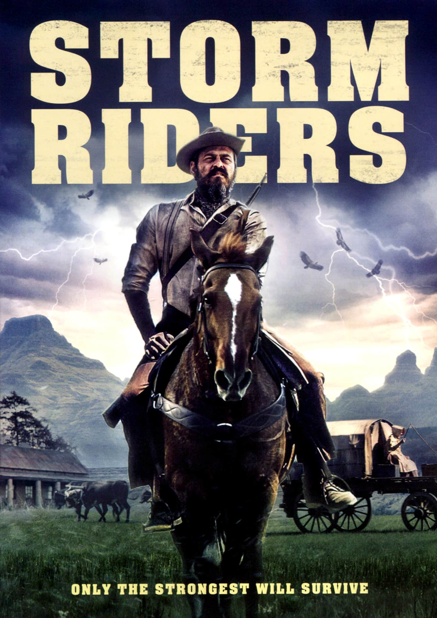 Best Buy: Storm Riders