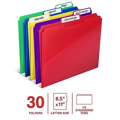 Staples File Folder, 1/3 Cut Tab, Letter Size, Plastic, 30/Box (ST62541 ...