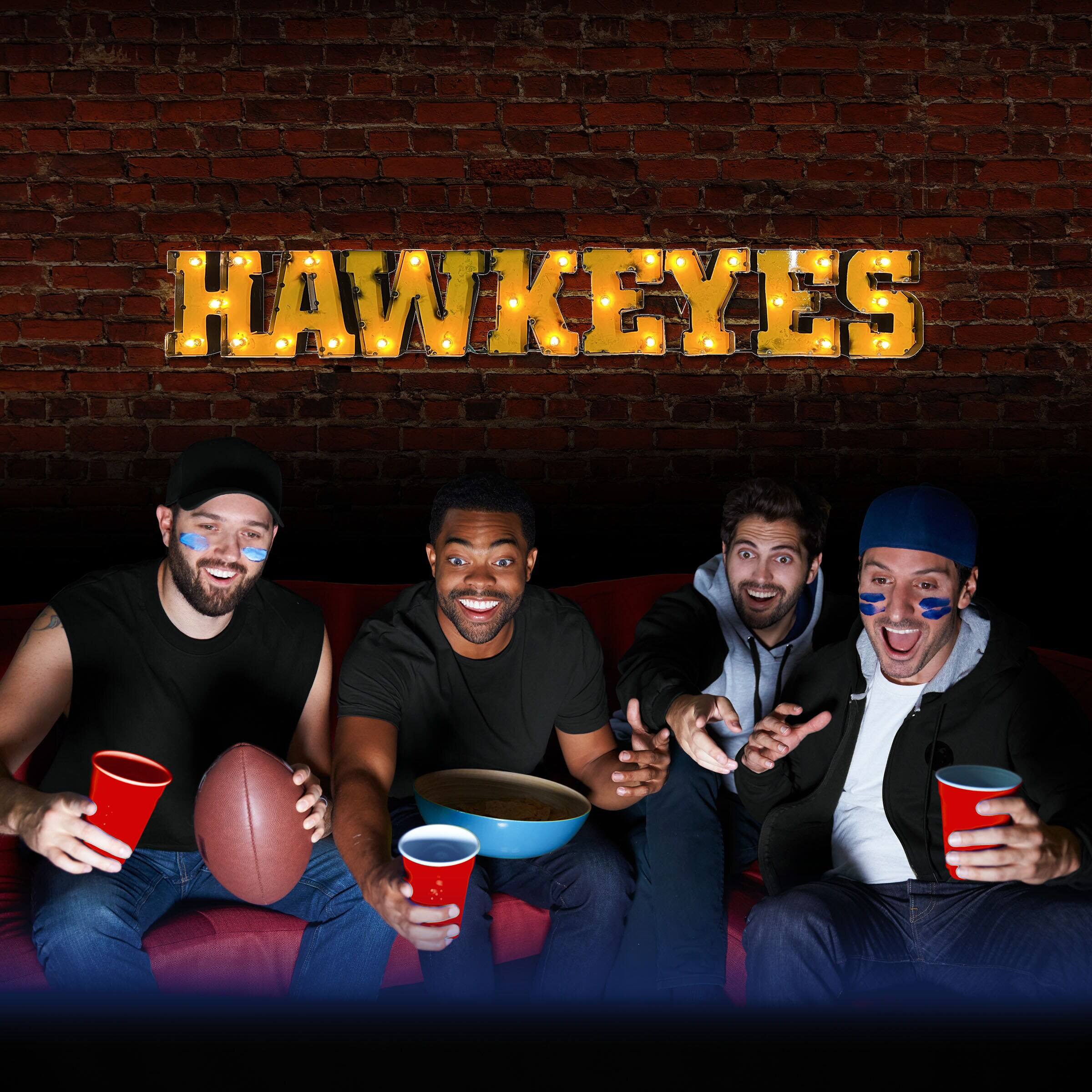 Imperial Iowa Hawkeyes Logo Lighted Recycled Metal Sign Multicolor ...