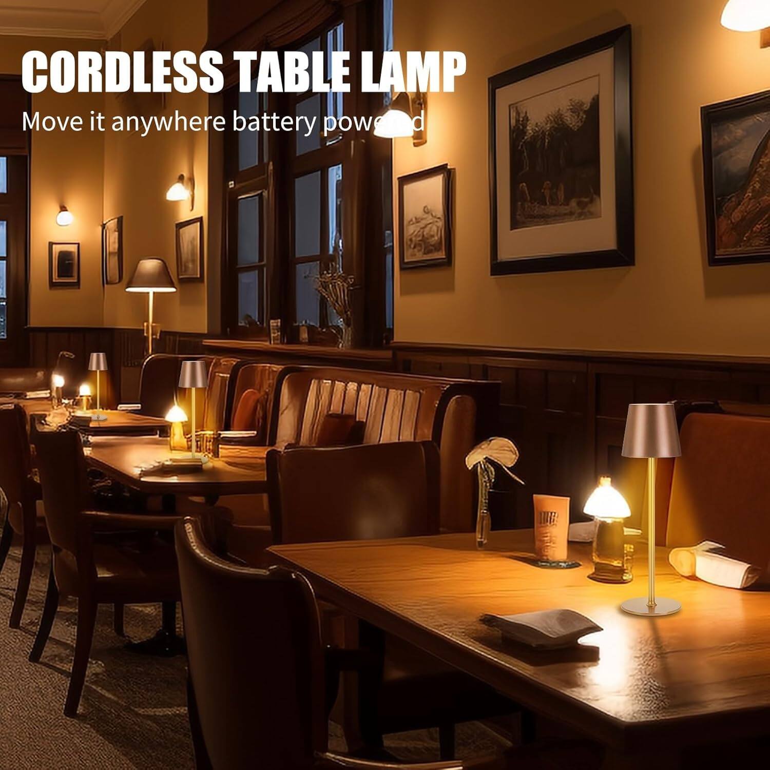 Stamp n Camp Cordless Table Lamps USB Rechargeable Simplicity Desk Lamp ...