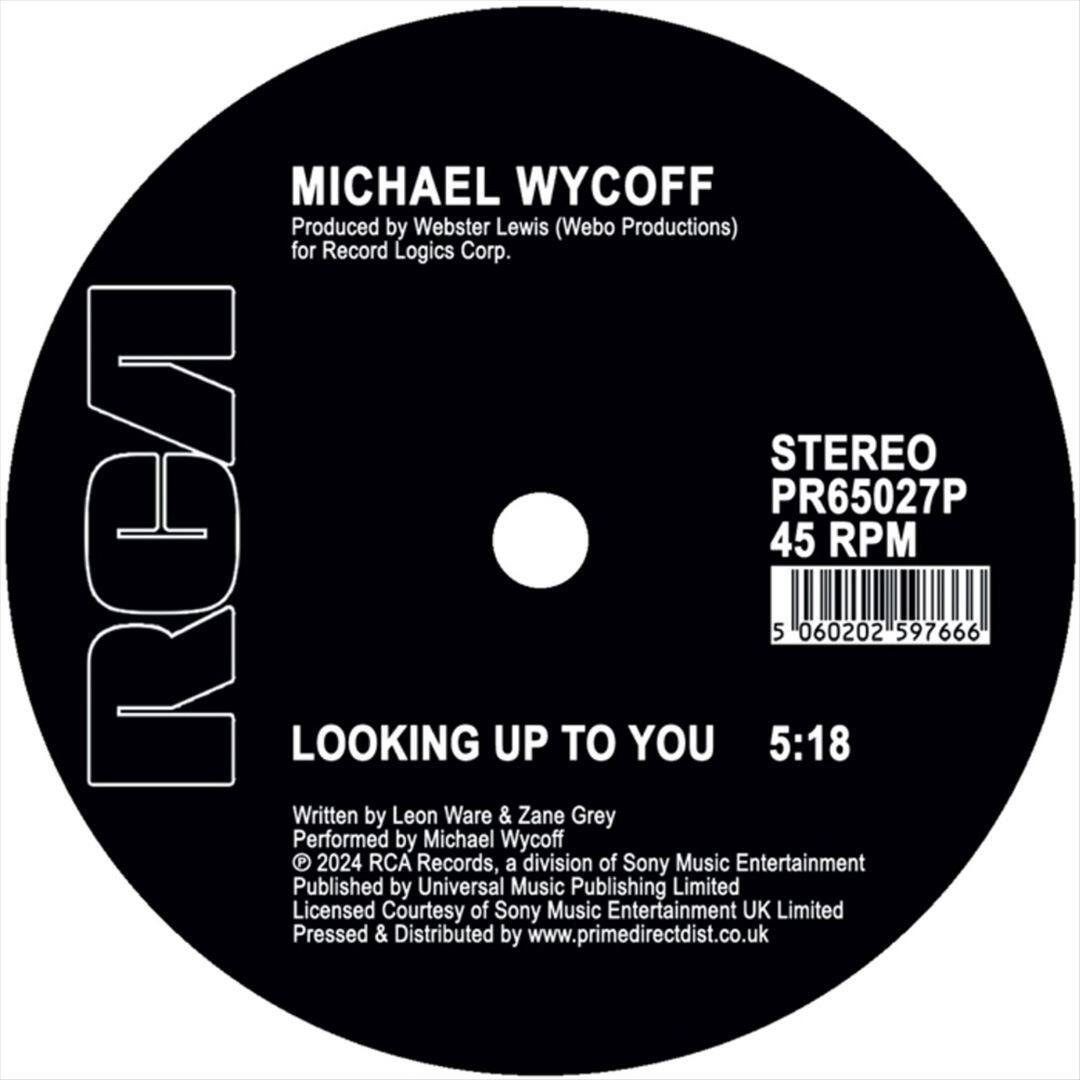 Looking Up to You [12 inch Vinyl Single] - Best Buy