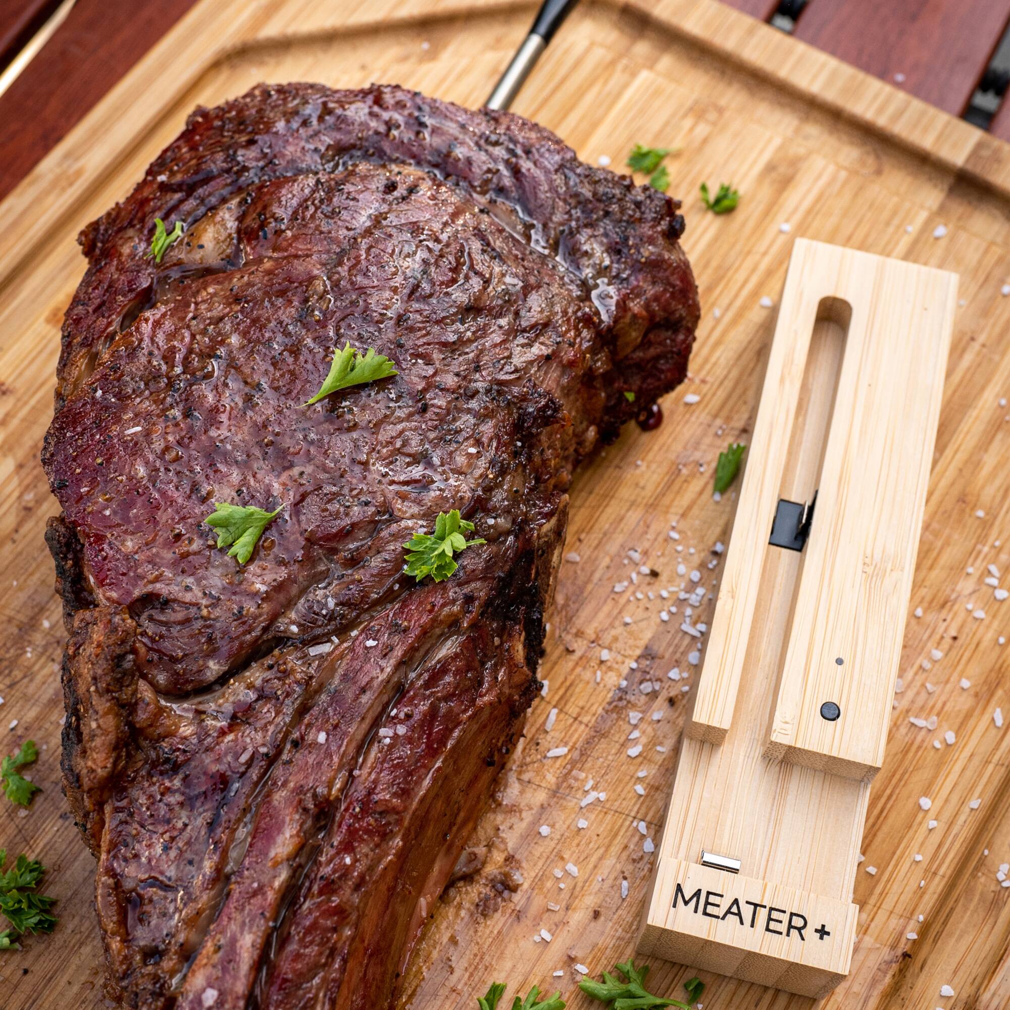 Traeger Grills MEATER Plus Wireless Meat Thermometer Multi OSC-MT-MP01 ...