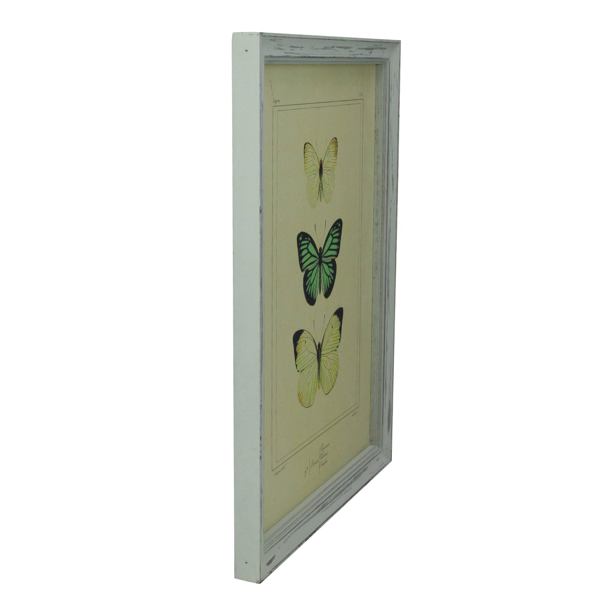 Kaemingk and Green Butterfly Print Rectangular Wall Art 15.75" x 12 ...