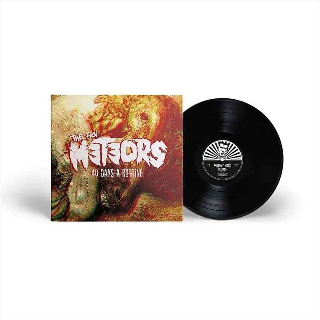 40 Days a Rotting [LP] [VINYL] - Best Buy