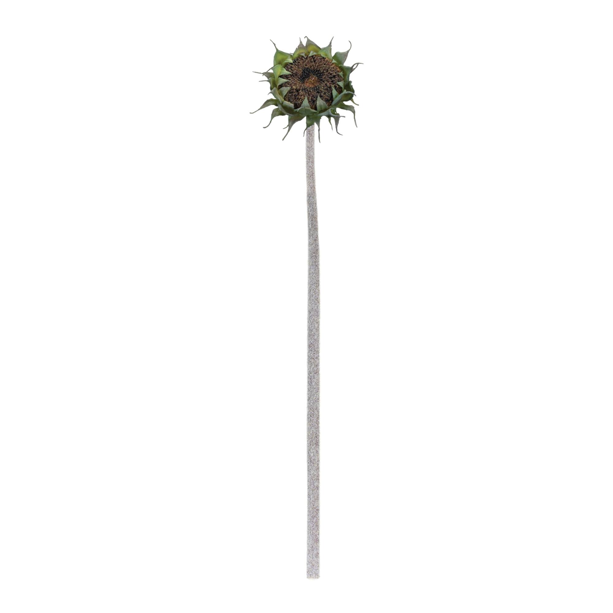 BreeBe Brown Sunflower Stem (Set of 6) Black, Green 92297DS - Best Buy