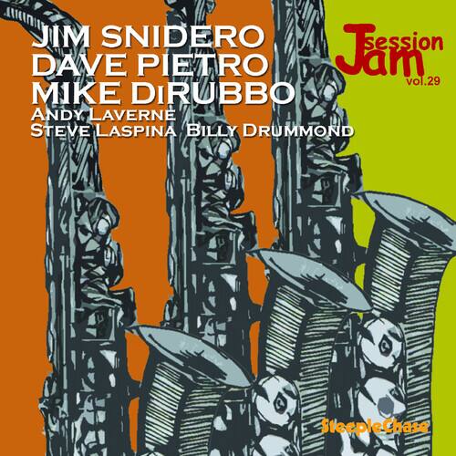 Mike DiRubbo Jam Session, Vol. 29 COMPACT DISCS [CD] - Best Buy