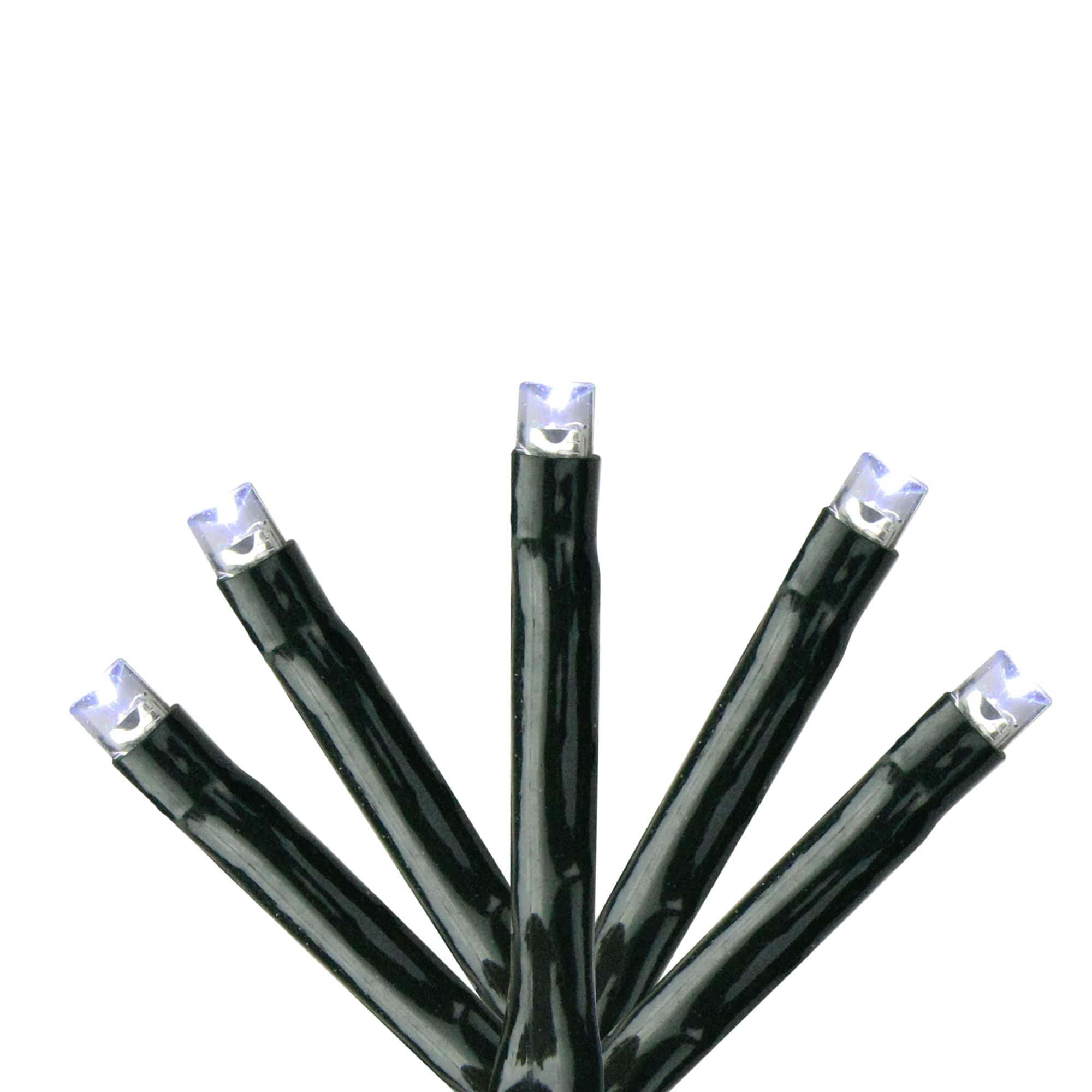 Kaemingk LED 8-Function Twinkle Glow Lights - Cool 17 ft Green Wire ...