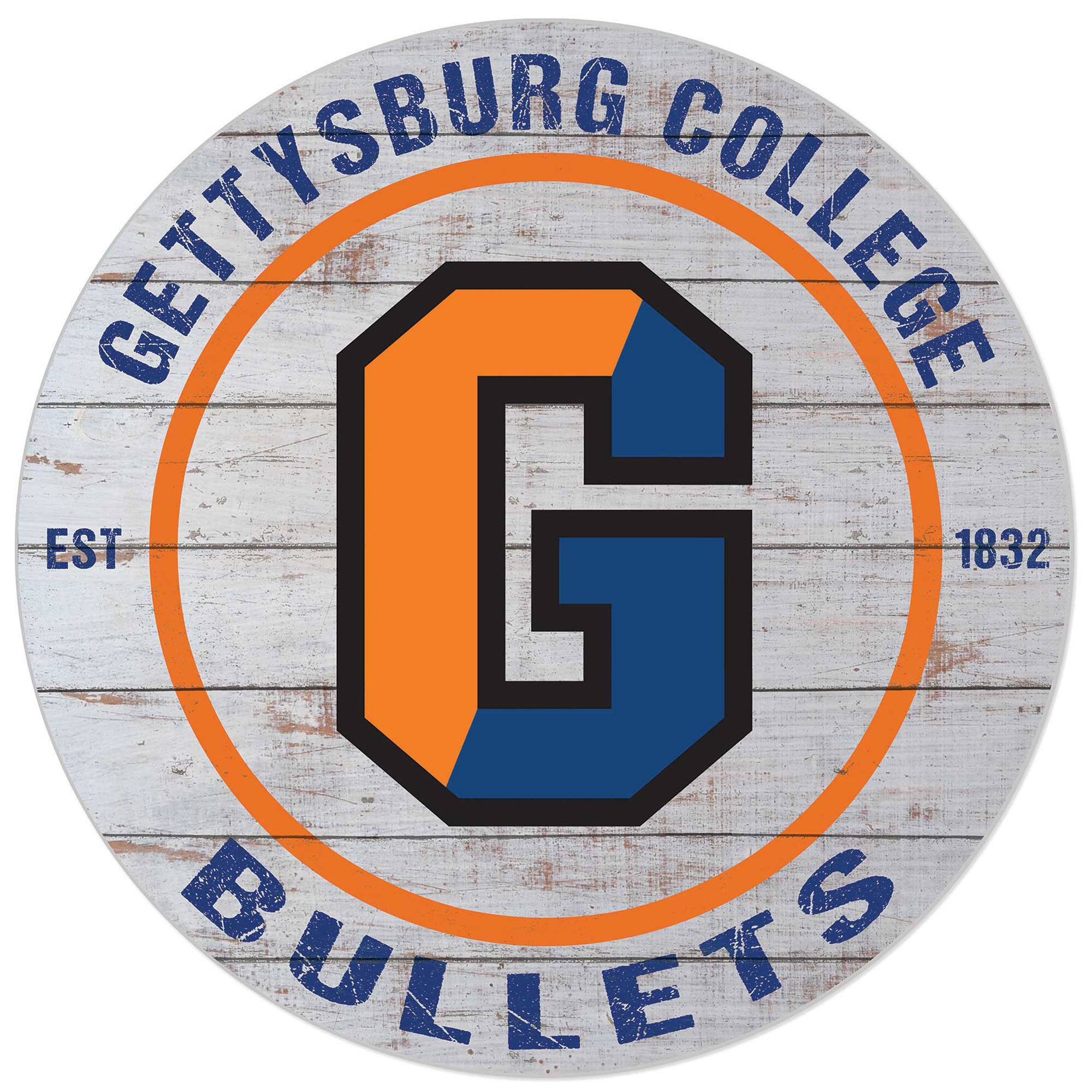 Jardine Gettysburg Bullets 20'' x 20'' Indoor/Outdoor Weathered Circle ...
