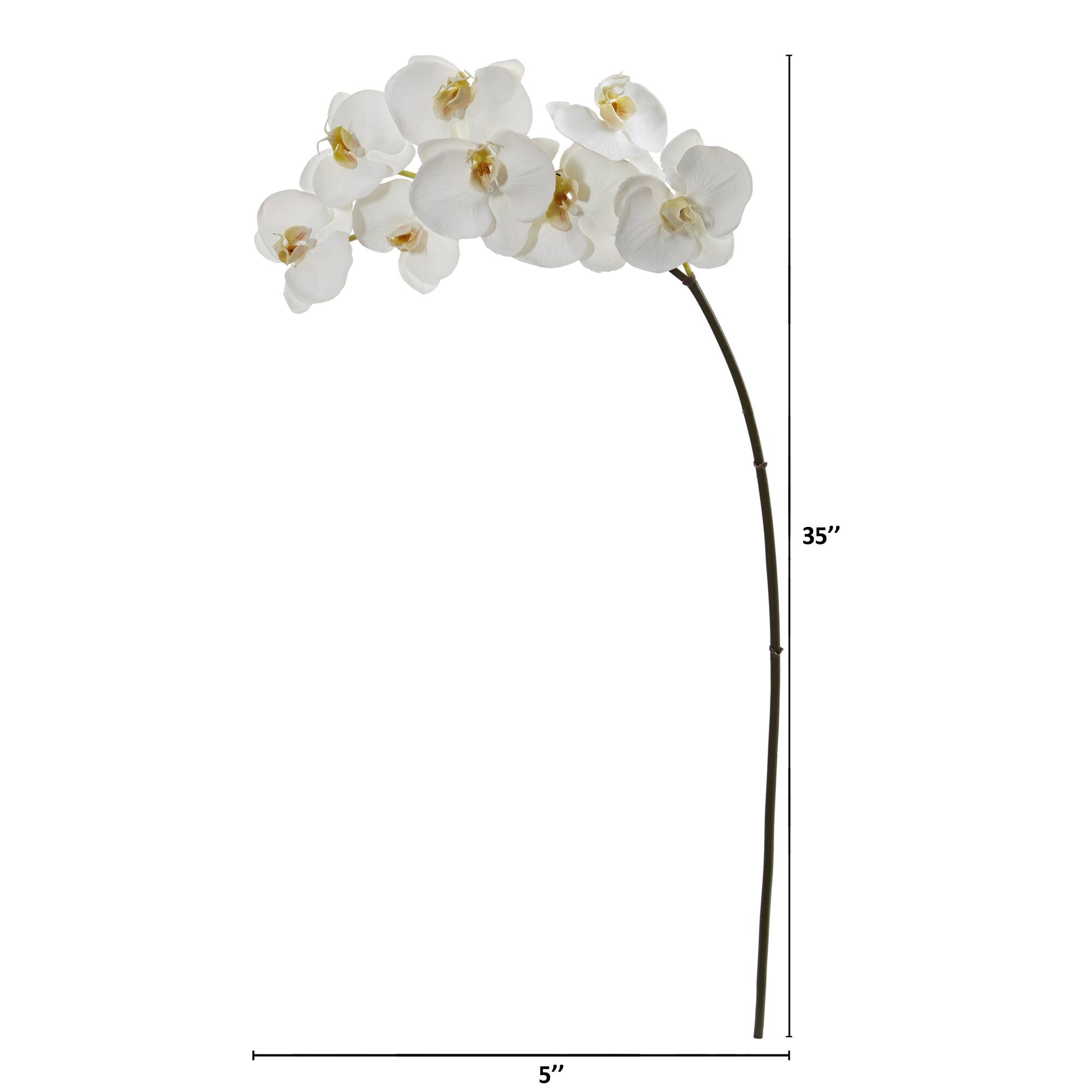 BreeBe 35" Phalaenopsis Orchid Artificial Flower (Set of 6) White 2321 ...