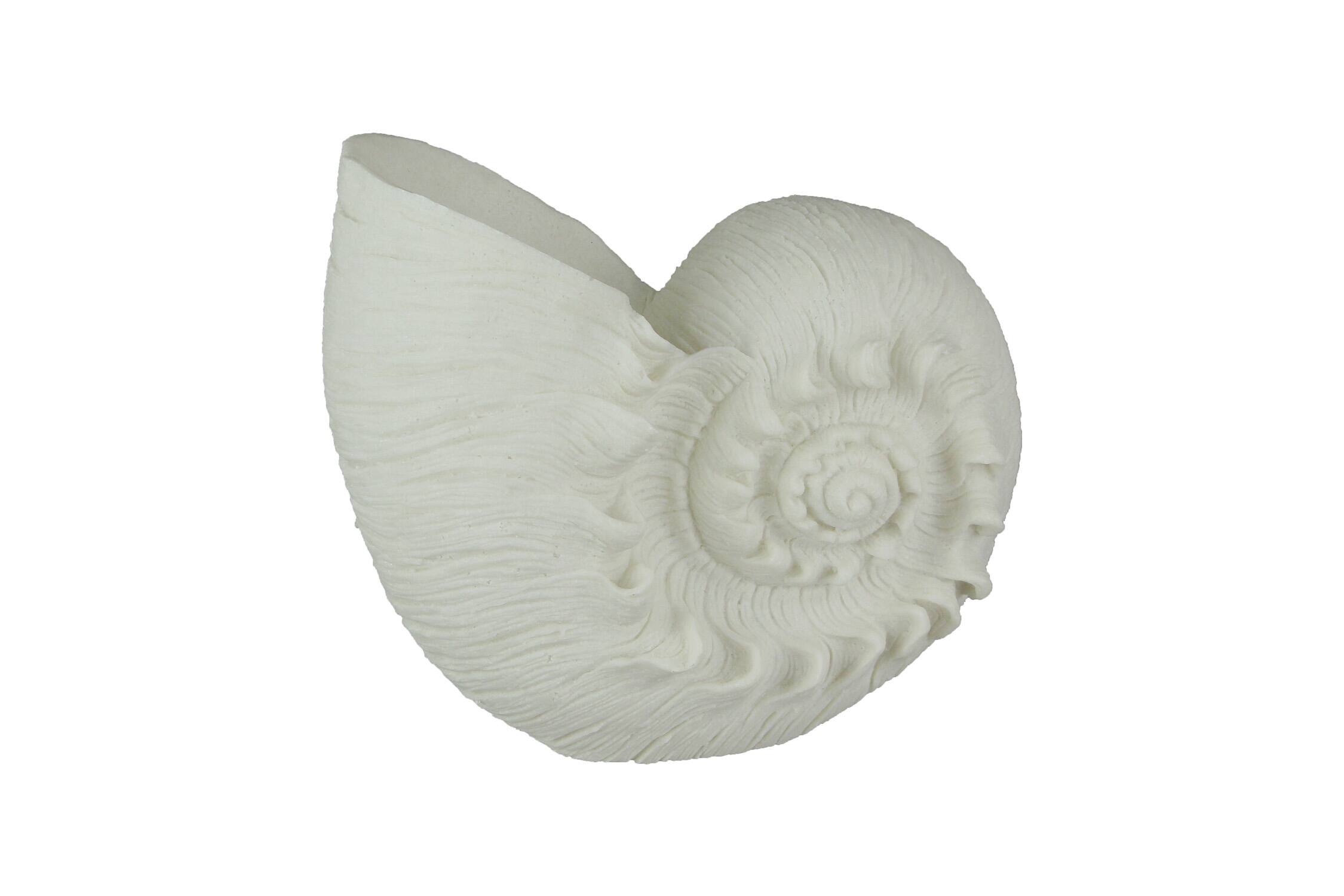 Contrast Inc. Sandstone Finish Frilled Nautilus Shell Accent Lamp 10 ...