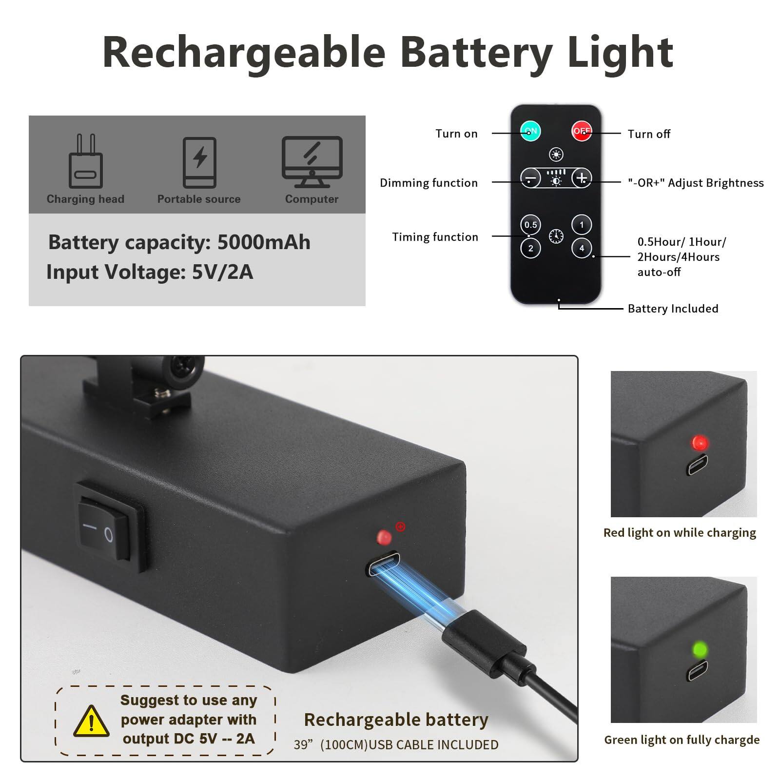 VEGA AUTOMOTIVE Wireless Picture Light Operated 16 Wall Art With Remote ...