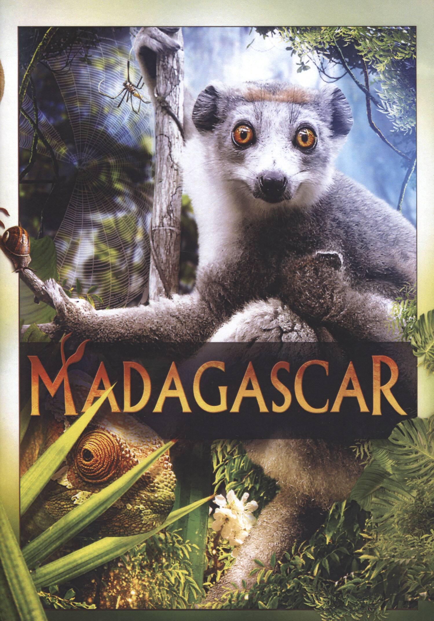 Best Buy: Madagascar
