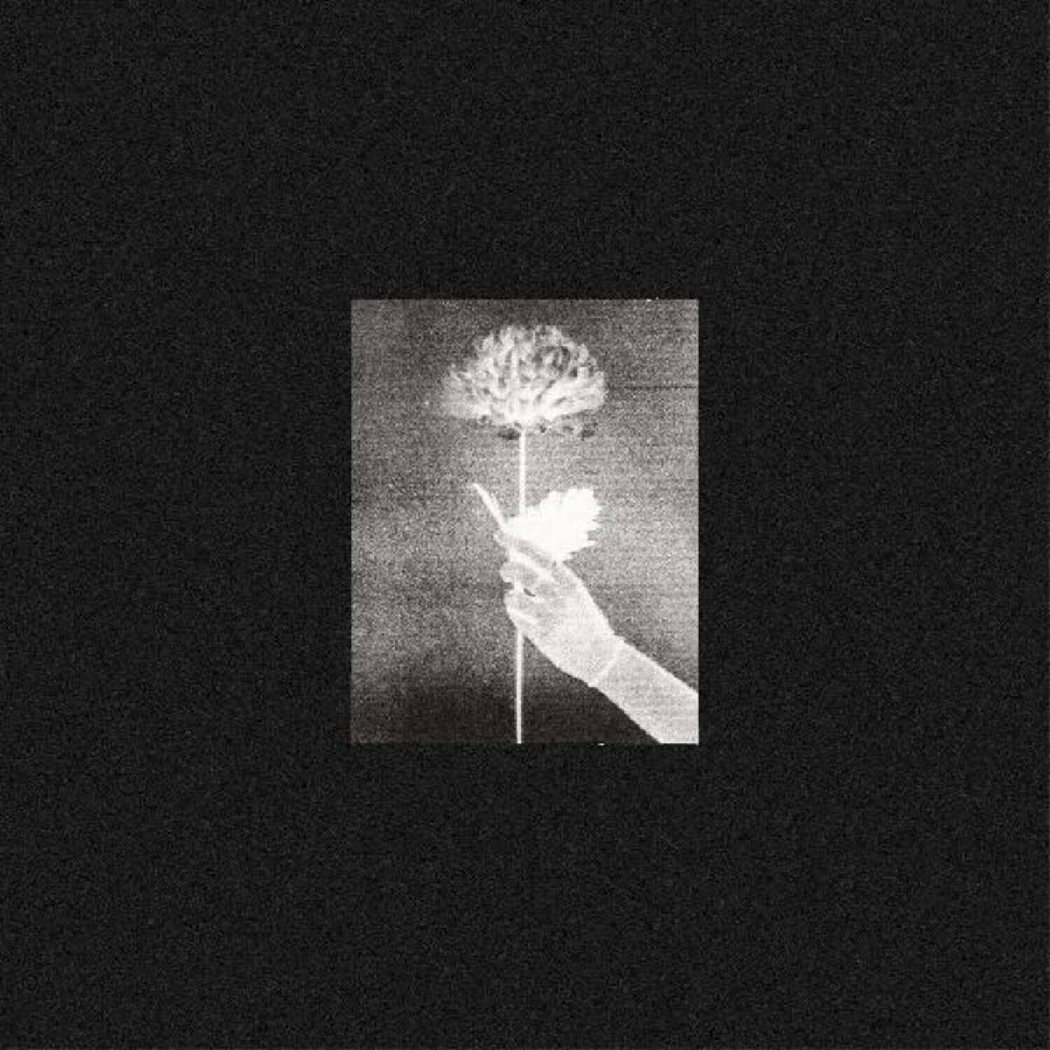 White Flowers Day By Day VINYL LP - Best Buy