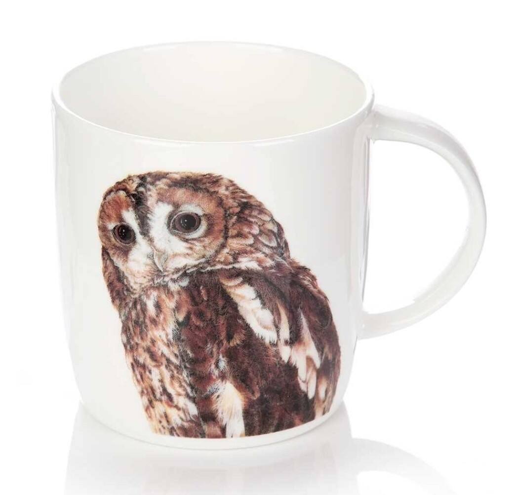 Jiallo Roy Kirkham SOPHIE MUG OWLS, Set of 2, Brown Owl Mutli color ...