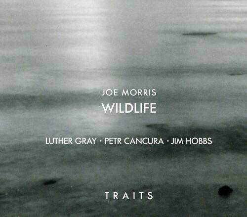 Joe Morris Traits COMPACT DISCS [CD] - Best Buy