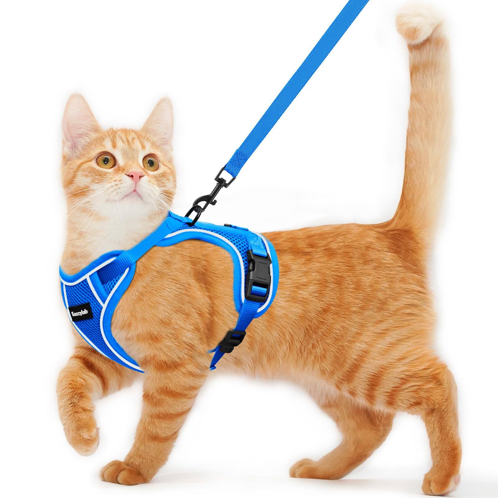 Paradigms Interiors - Cat Harness And Leash For Walking Escape Proof ...