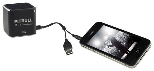 Best Buy: RockDoc Pitbull POWER Portable 1-Way Speaker with 4GB Memory ...