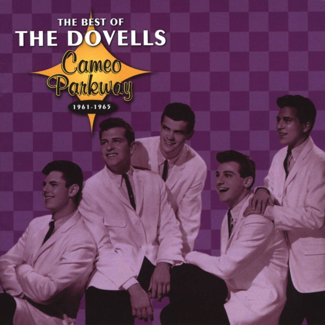 Best Buy: The Best of the Dovells 1961-1965 [CD]