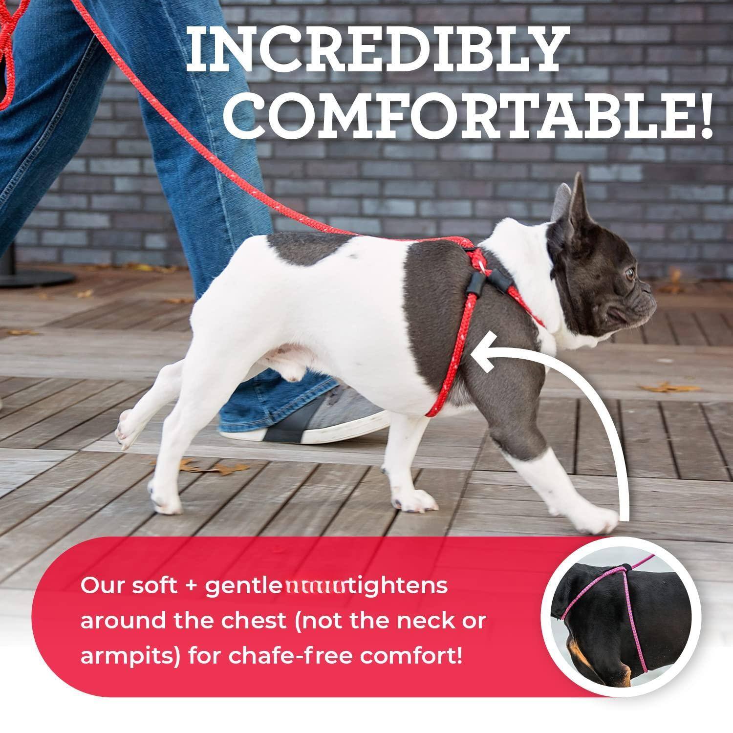 Paradigms Interiors No Pull Dog And Leash Set Anti One piece Cushioned ...