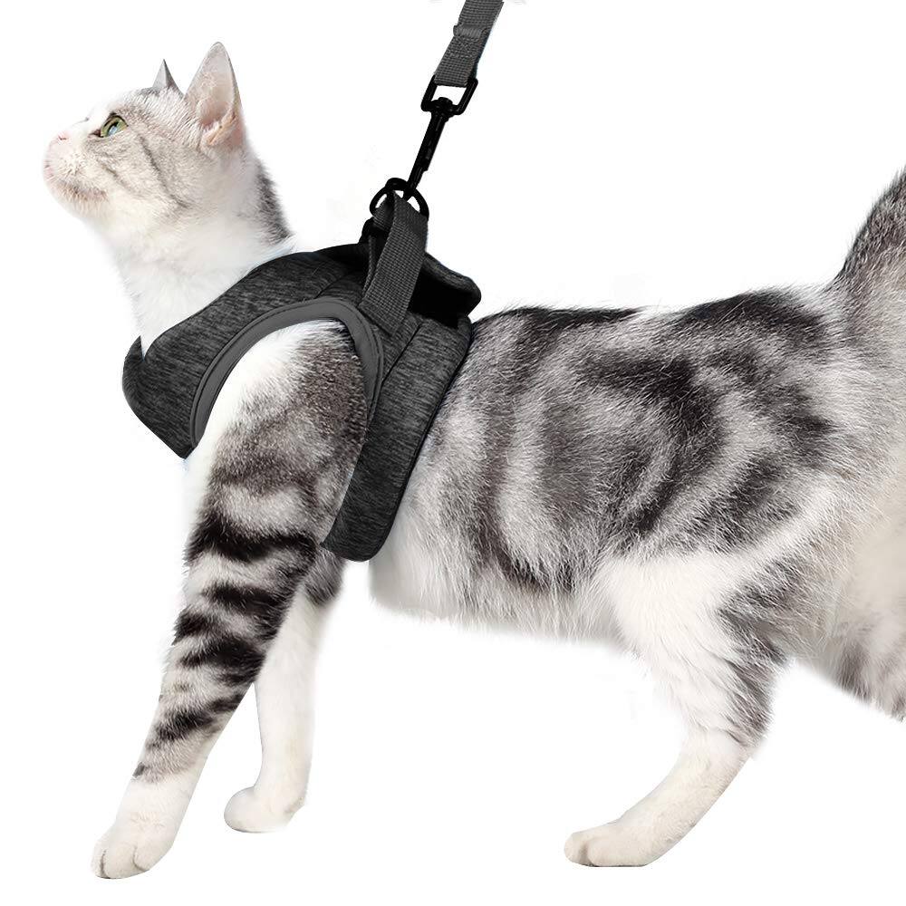 Paradigms Interiors Cat Harness And Leash Ultra Light Escape Proof ...