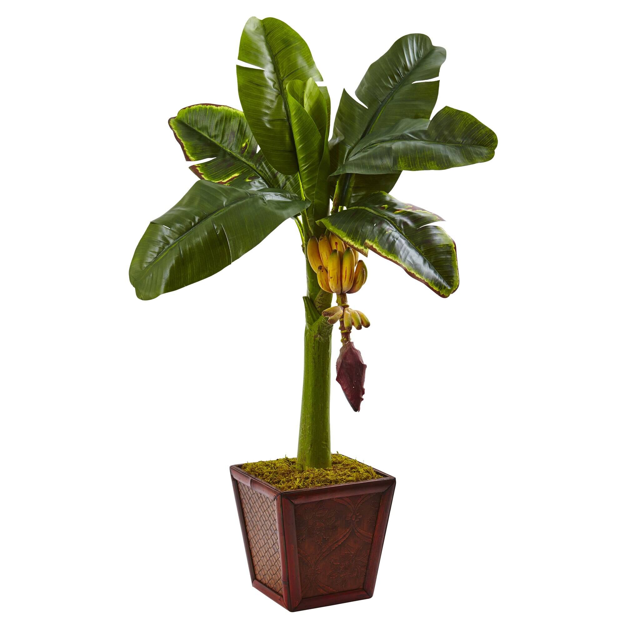 BreeBe 3' Banana Tree in Wooden Planter Green 5968 - Best Buy