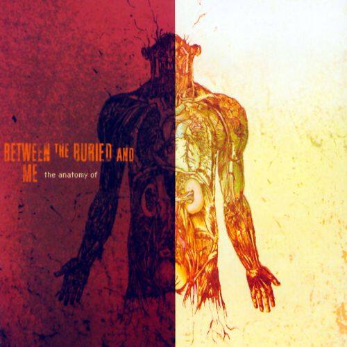 Best Buy: The Anatomy Of [CD]