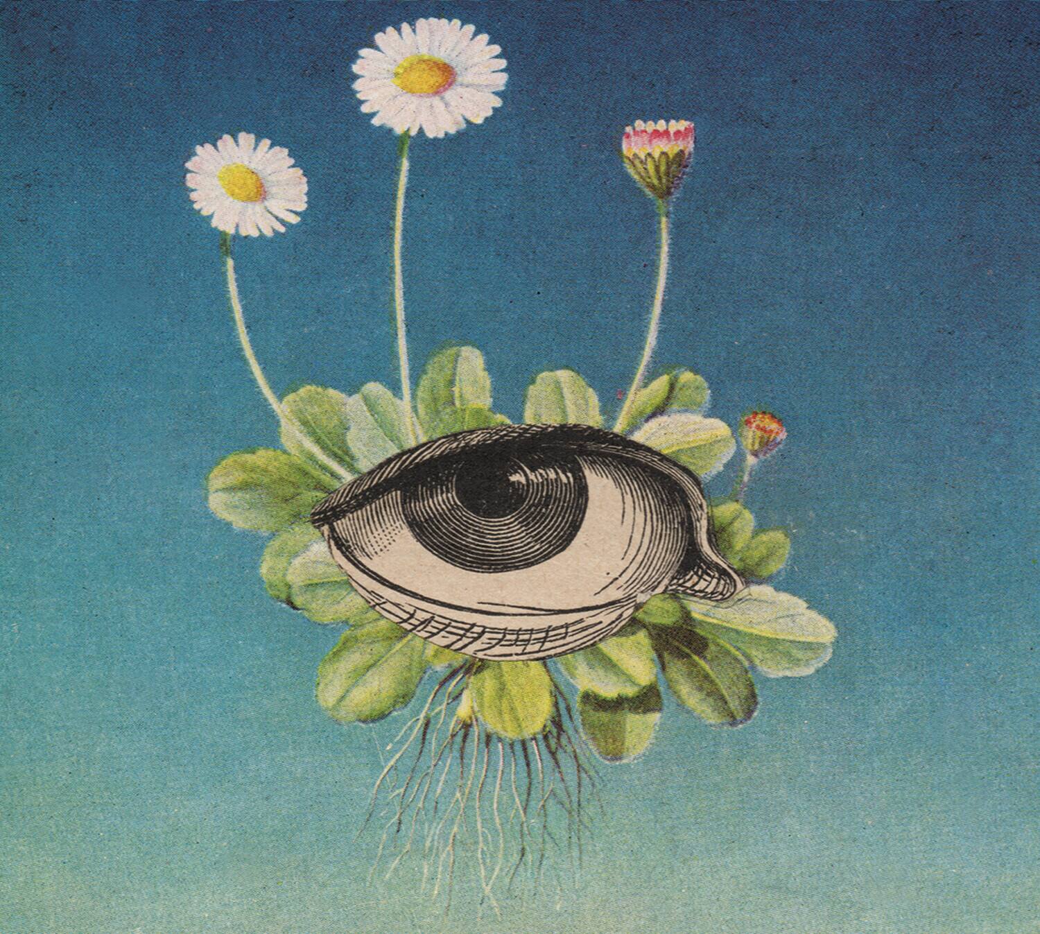 Ojerum The Limited Circle Is Pure COMPACT DISCS [CD] - Best Buy