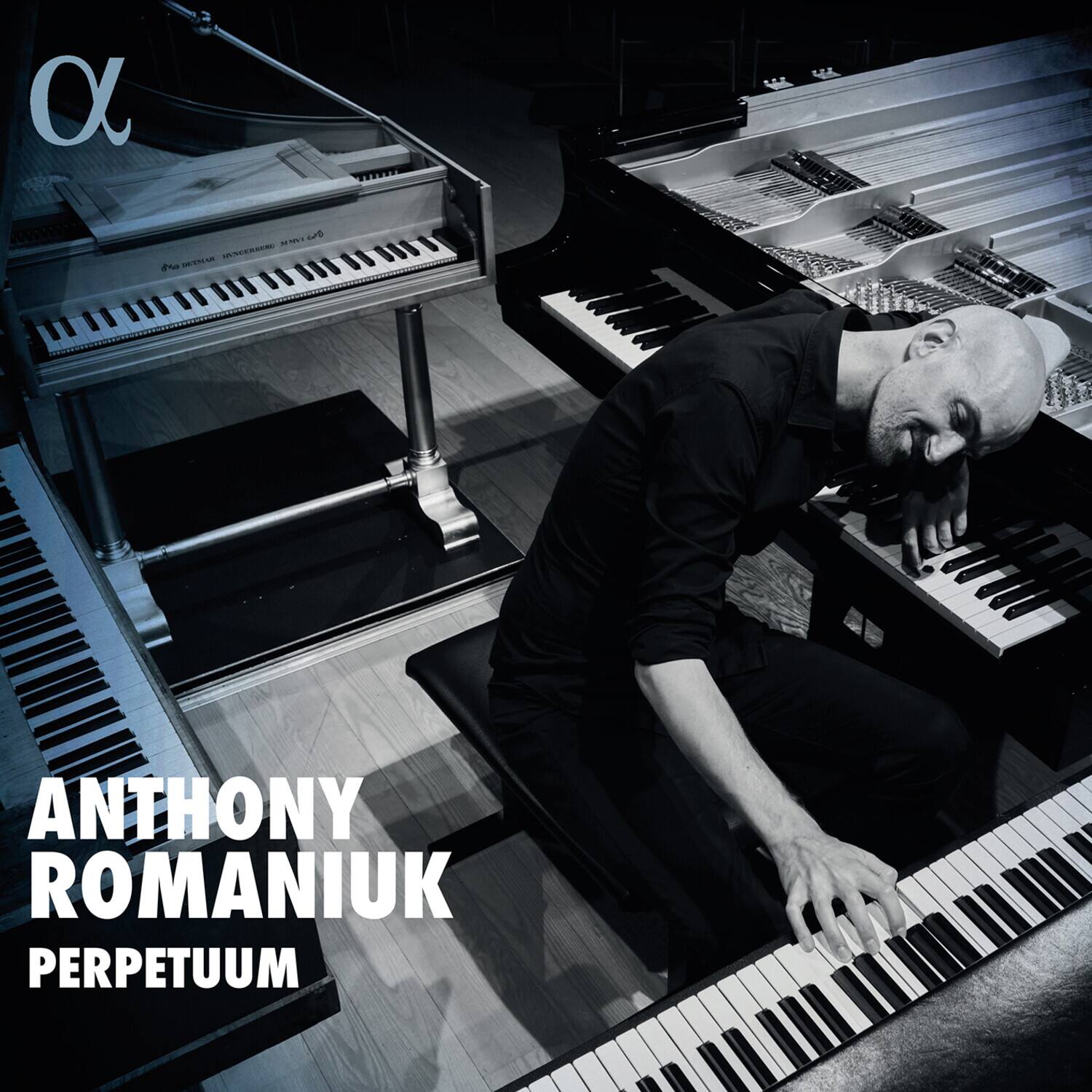 Anthony Romaniuk Perpetuum COMPACT DISCS [CD] - Best Buy