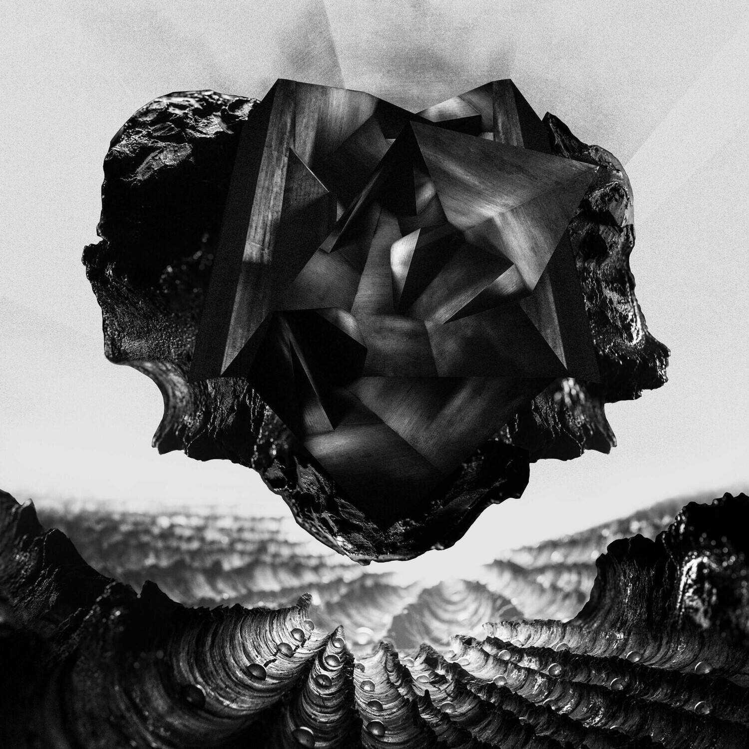 Farer Monad VINYL LP - Best Buy