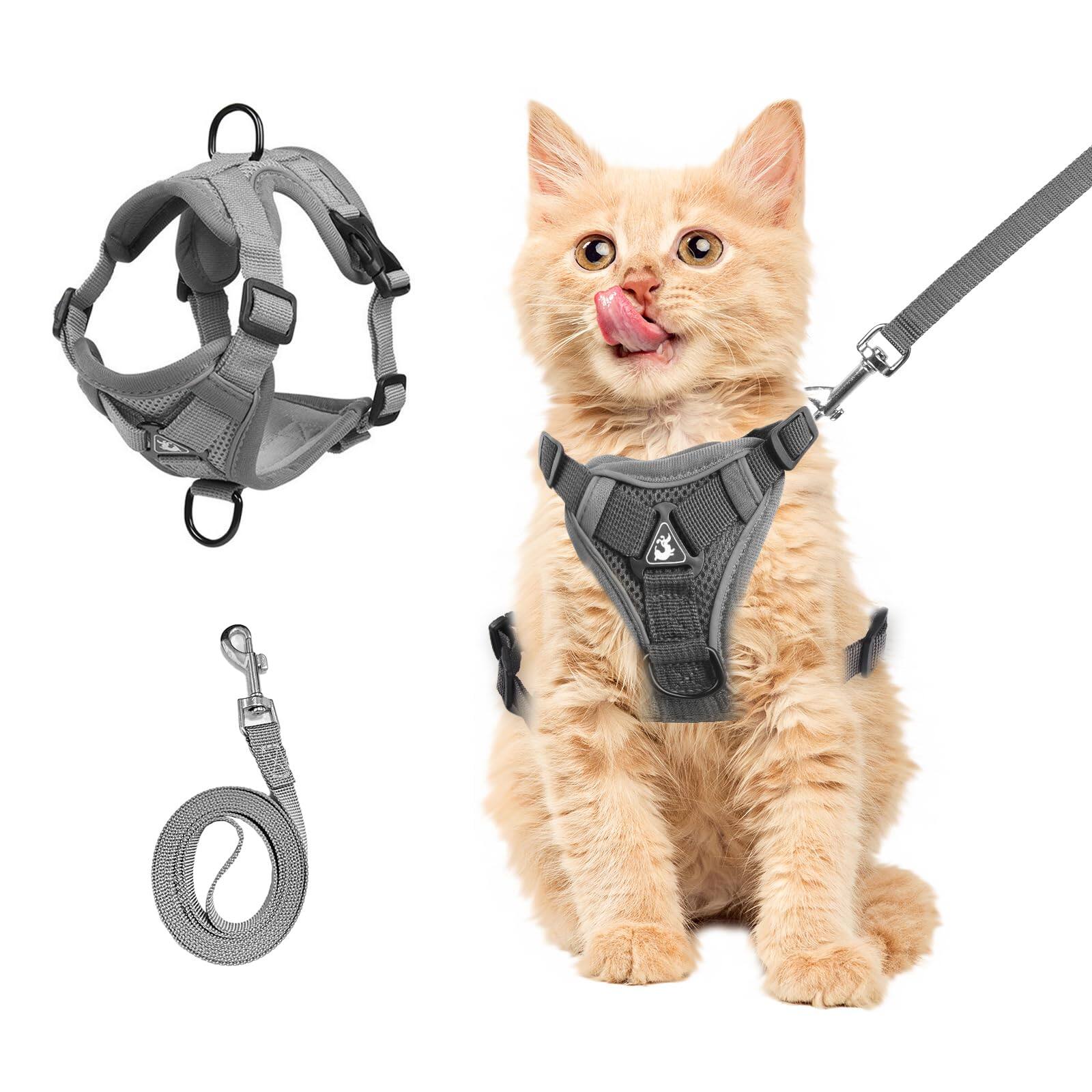 Paradigms Interiors Cat Chest Harness And Leash Anti escape Soft Mesh ...