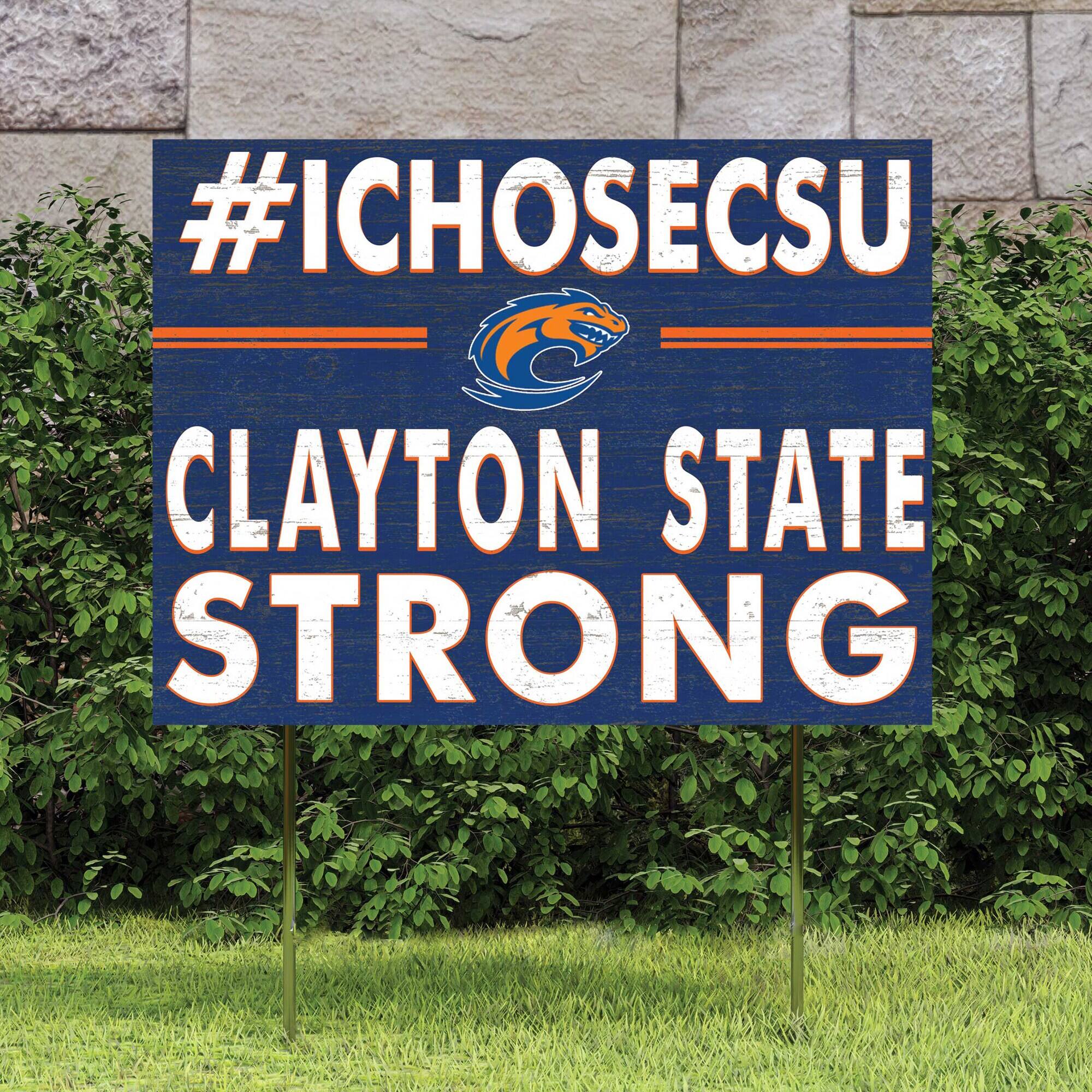 Jardine Clayton State Lakers 18'' x 24'' I Chose Lawn Sign Blue ...