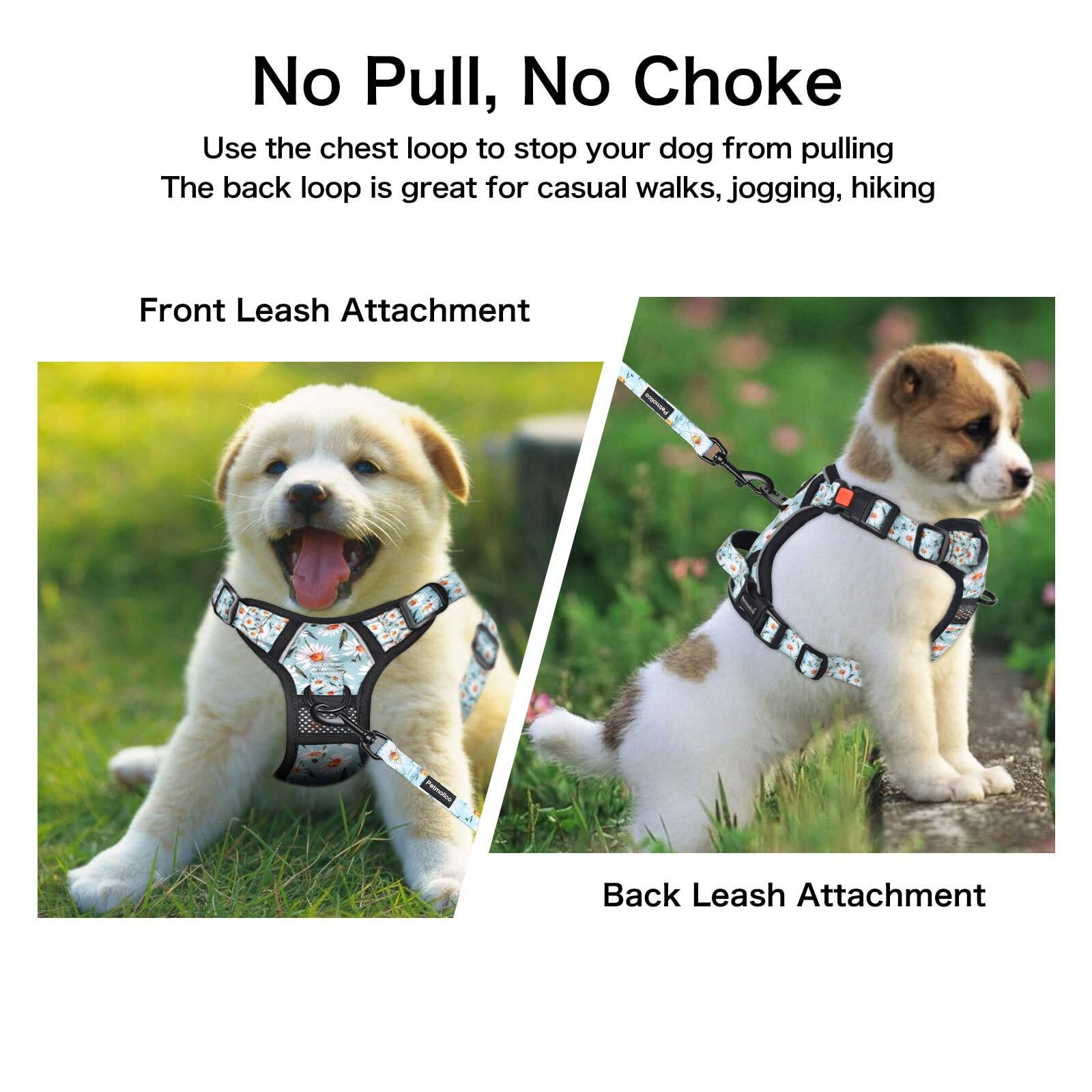 Paradigms Interiors No Pull Dog Harness Set With Leash Attachment Easy ...