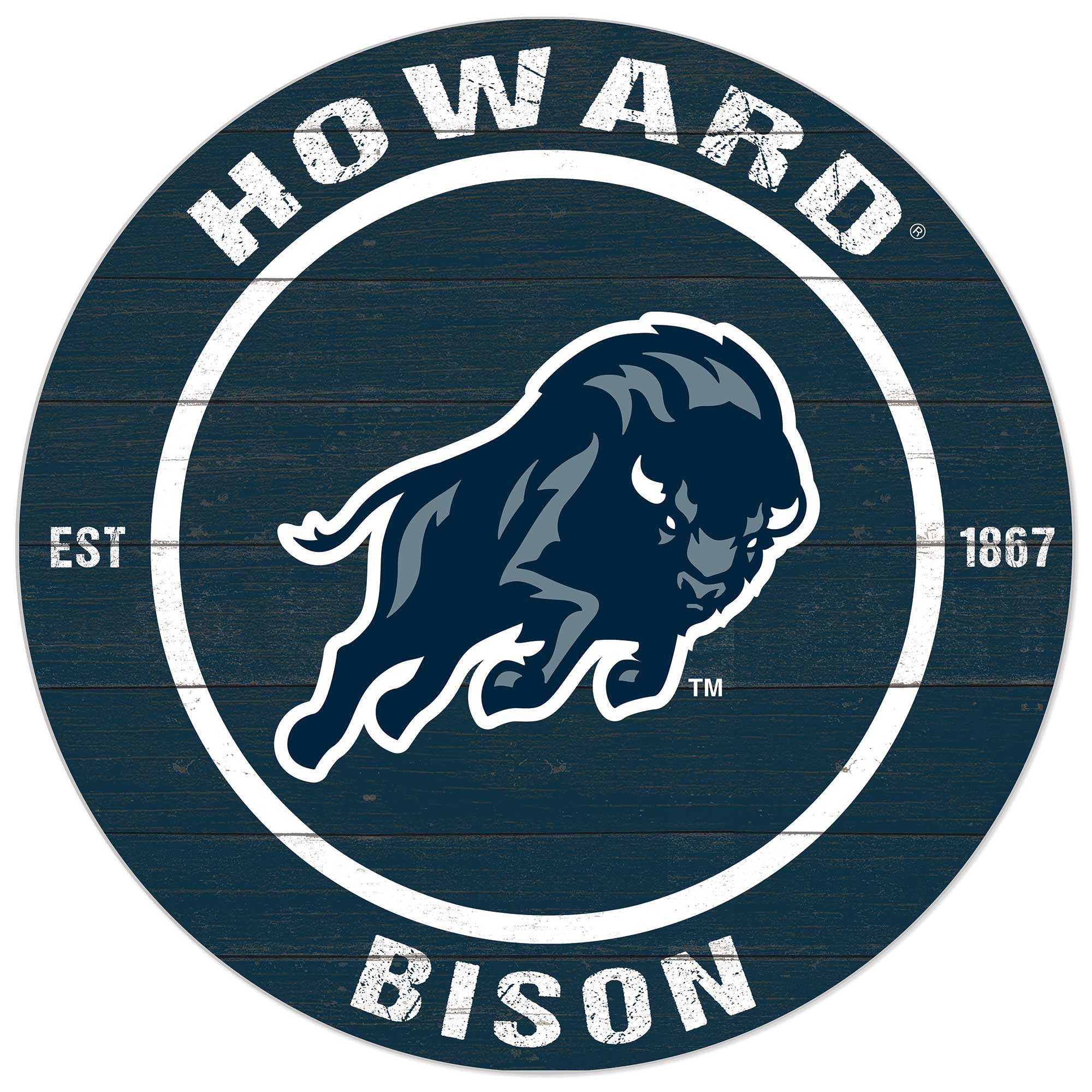 Jardine Howard Bison 20'' x 20'' Indoor/Outdoor Circle Sign Blue ...
