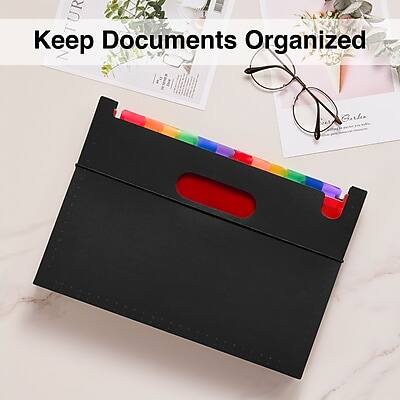 Staples Plastic Accordion File, 25 Pocket, Letter Size Multicolor ...