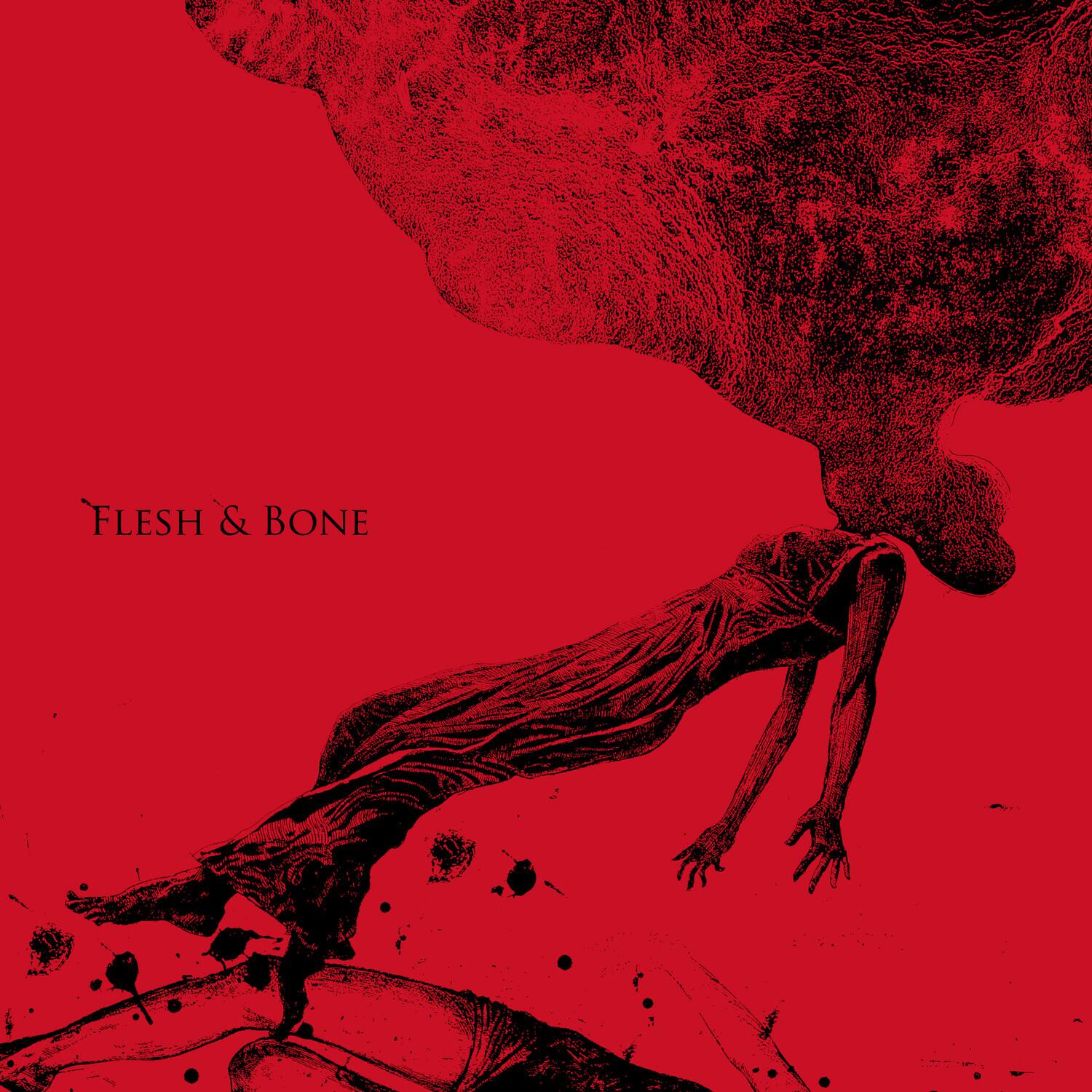 Aneuma Flesh & Bone COMPACT DISCS [CD] - Best Buy
