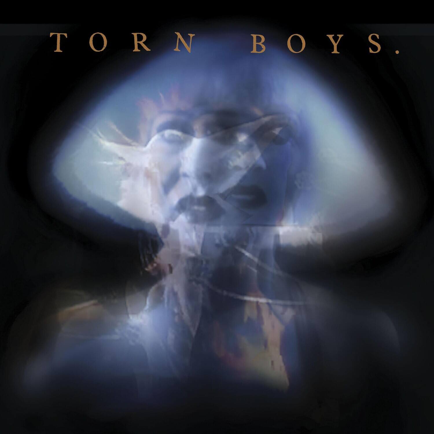 Torn Boys 1983 VINYL LP - Best Buy