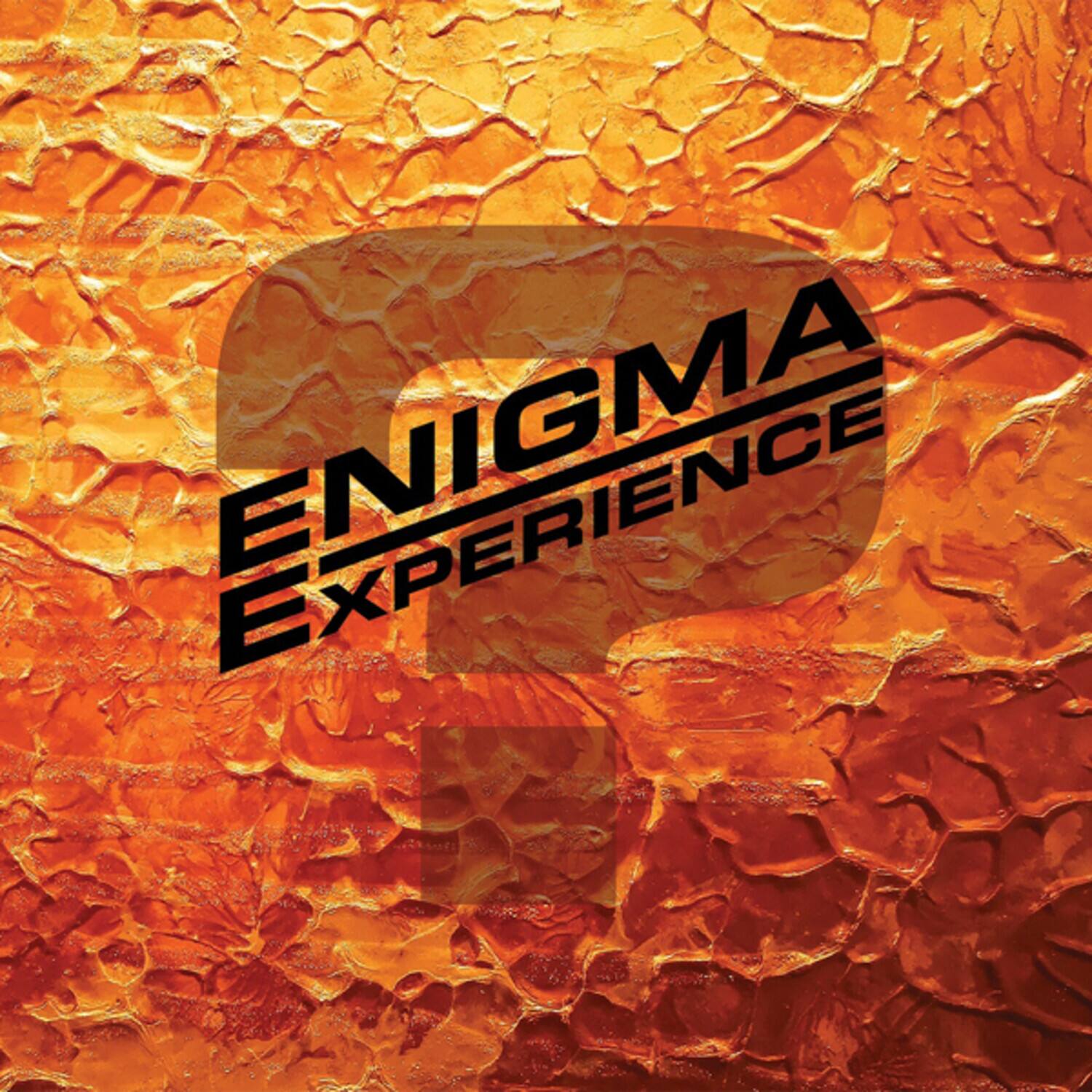 Enigma Experience Question Mark COMPACT DISCS - Best Buy