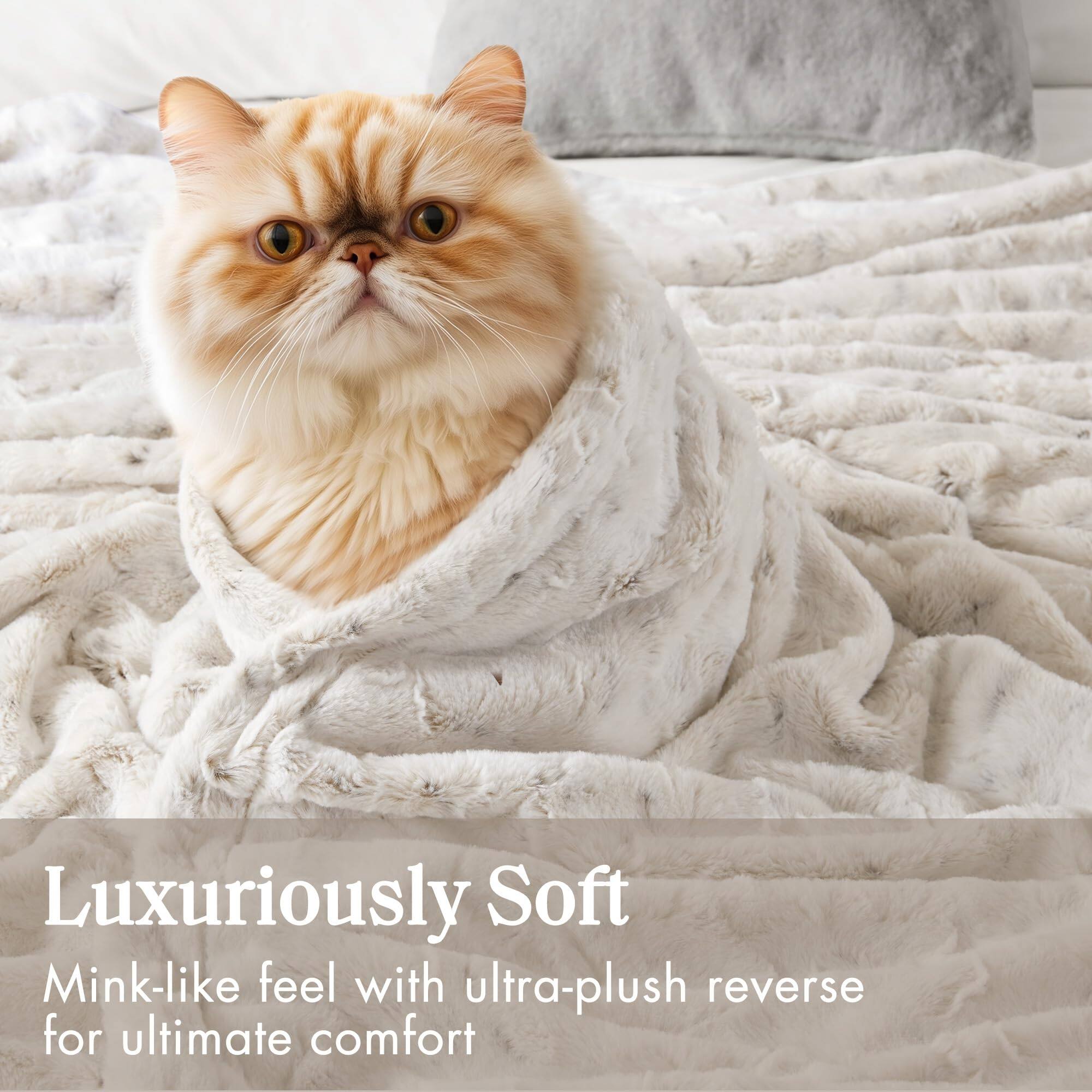 Dapper Styles Ultra soft Poly Reversible Plush All Season Lightweight ...