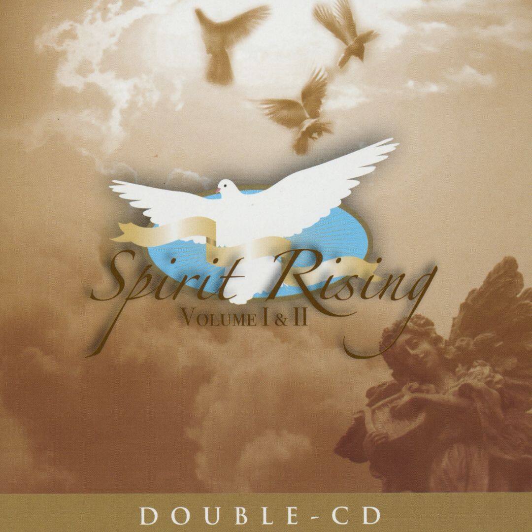 Best Buy: Spirit Rising, Vol. 1 & 2 [CD]