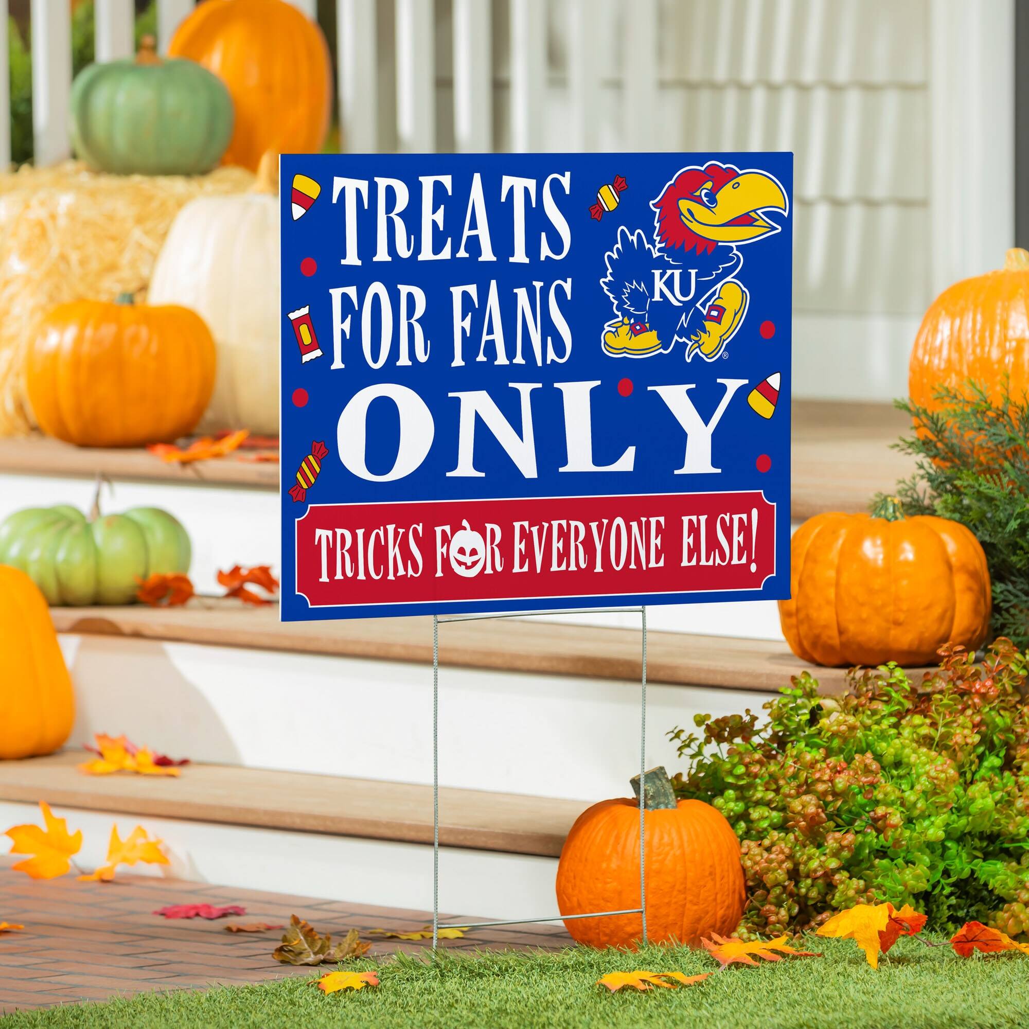 Evergreen Enterprises Kansas Jayhawks 18" x 24" Halloween Treats ...