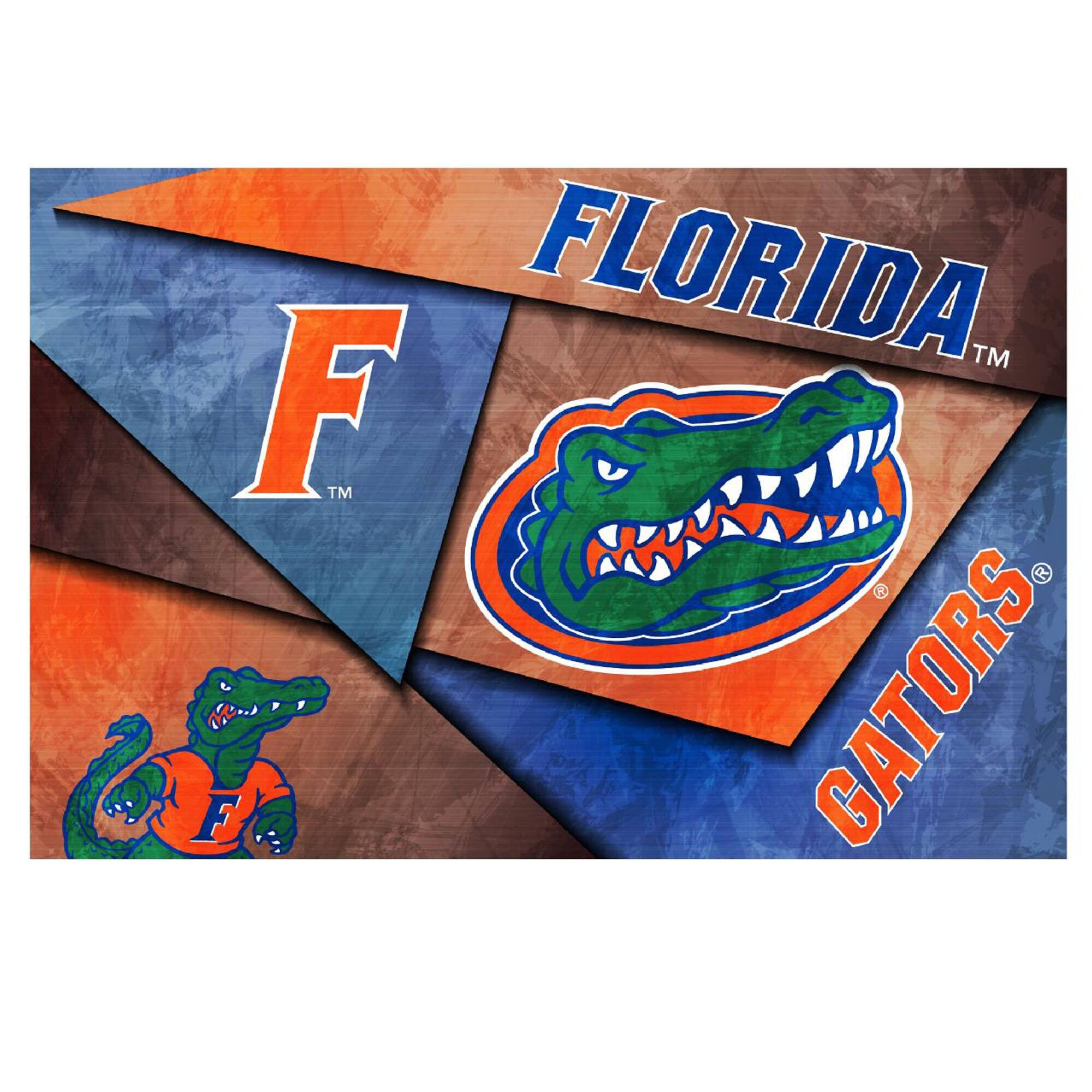 Indigo Falls Florida Gators 16" x 24" Mosaic Poster White 203285597 ...