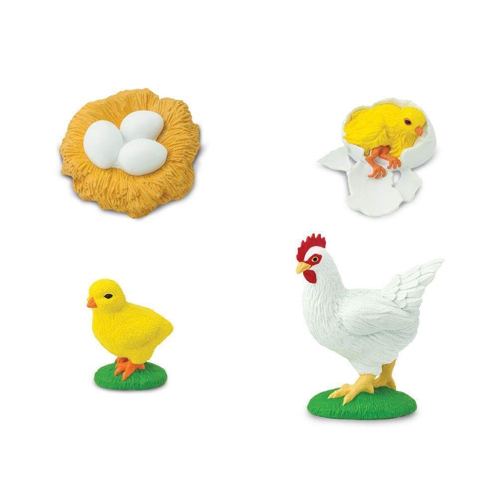 Safari Ltd. Life Cycle Of A Chicken Toy - Best Buy