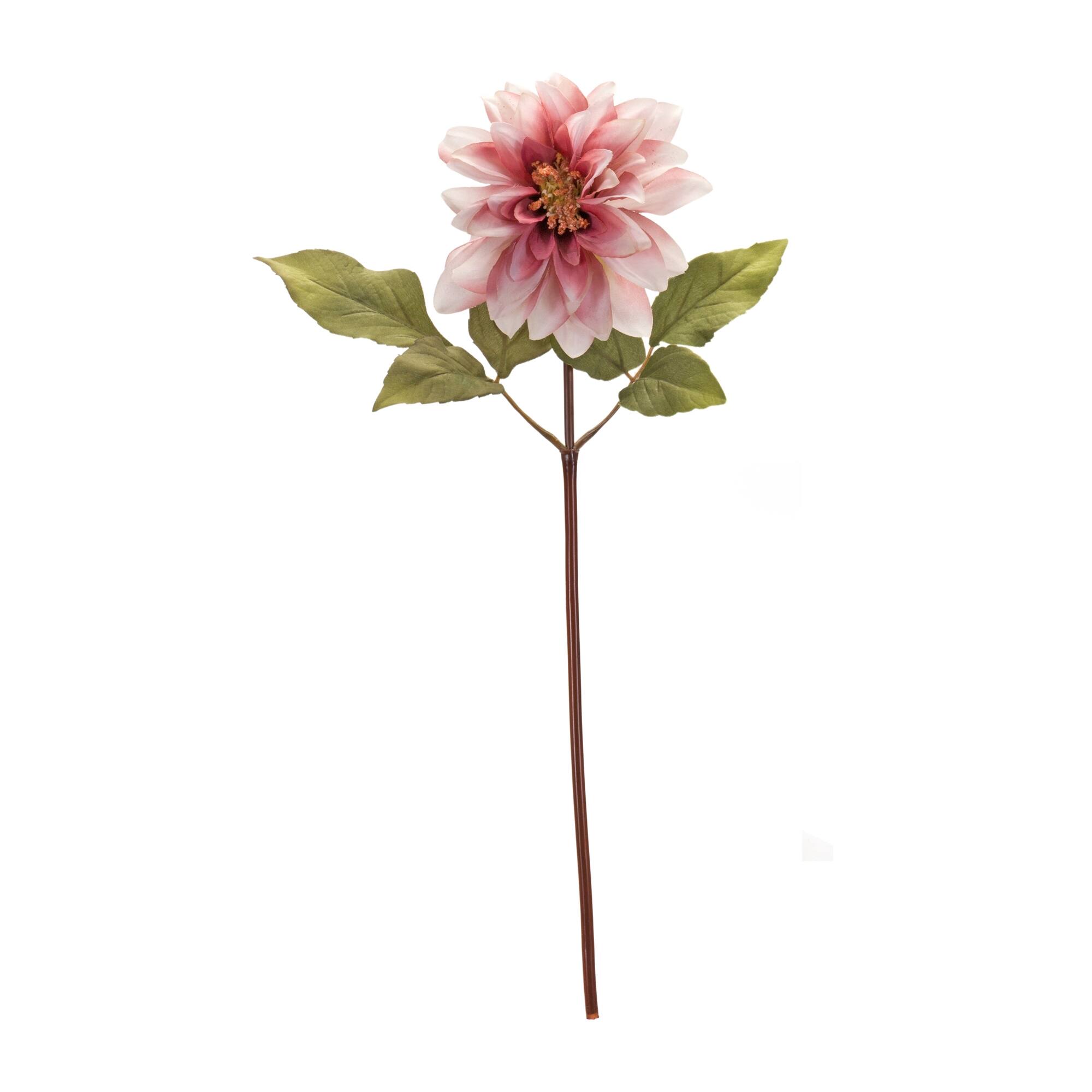 BreeBe Blush Dahlia Flower Stem (Set of 6) Pink 85711DS - Best Buy