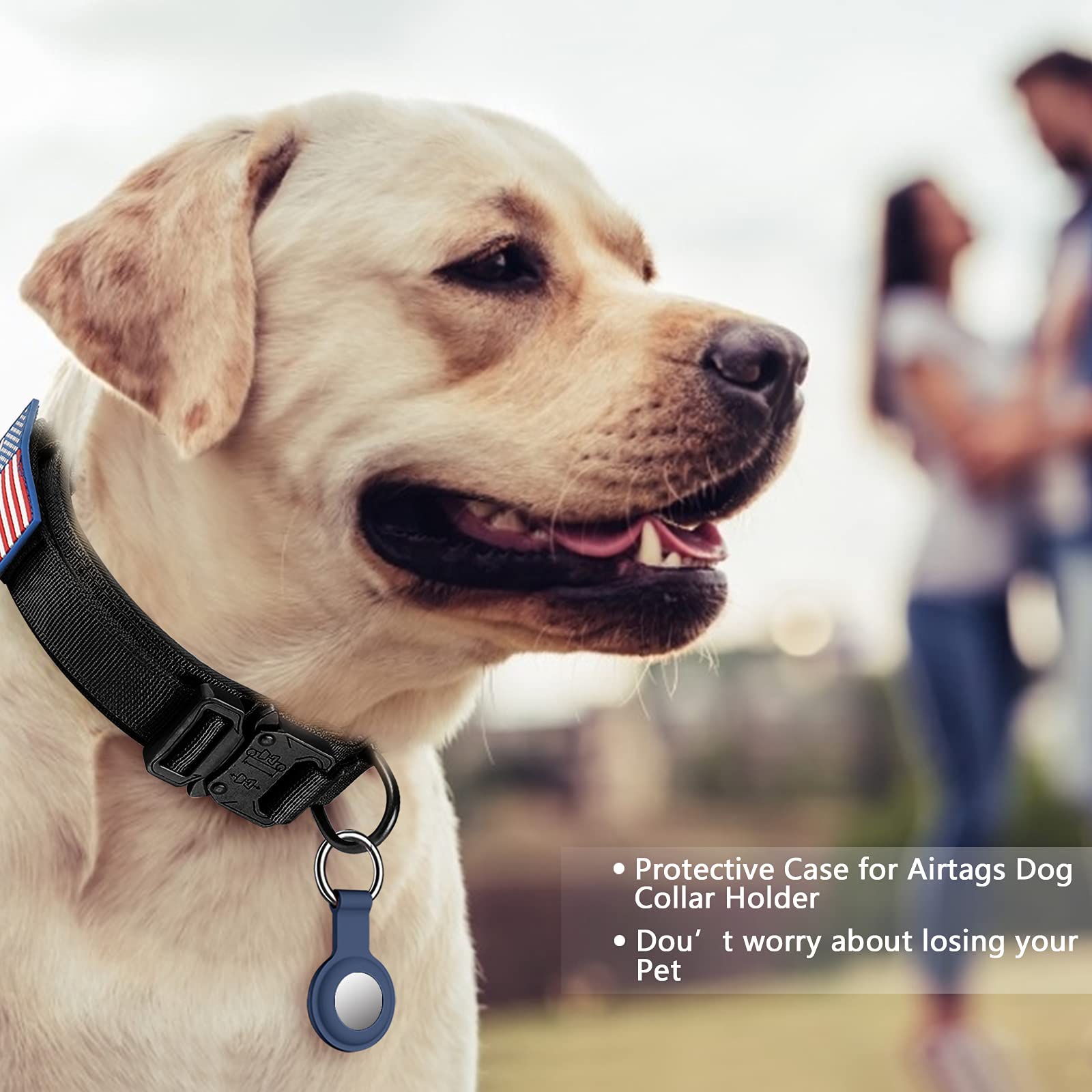 Leash Valley Refurbished Excellent Dog Collar Adjustable Nylon With ...