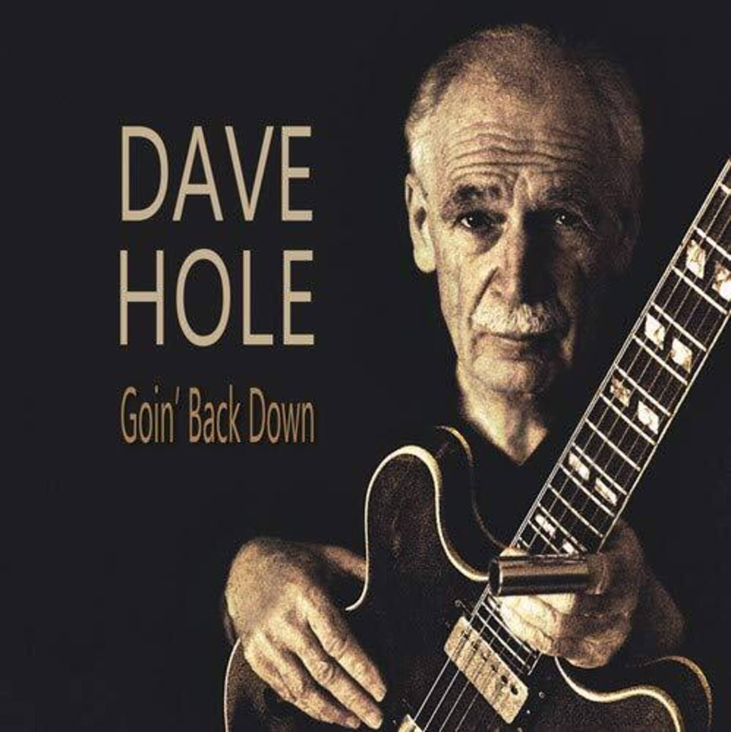 Dave Hole Goin' Back Down VINYL LP - Best Buy
