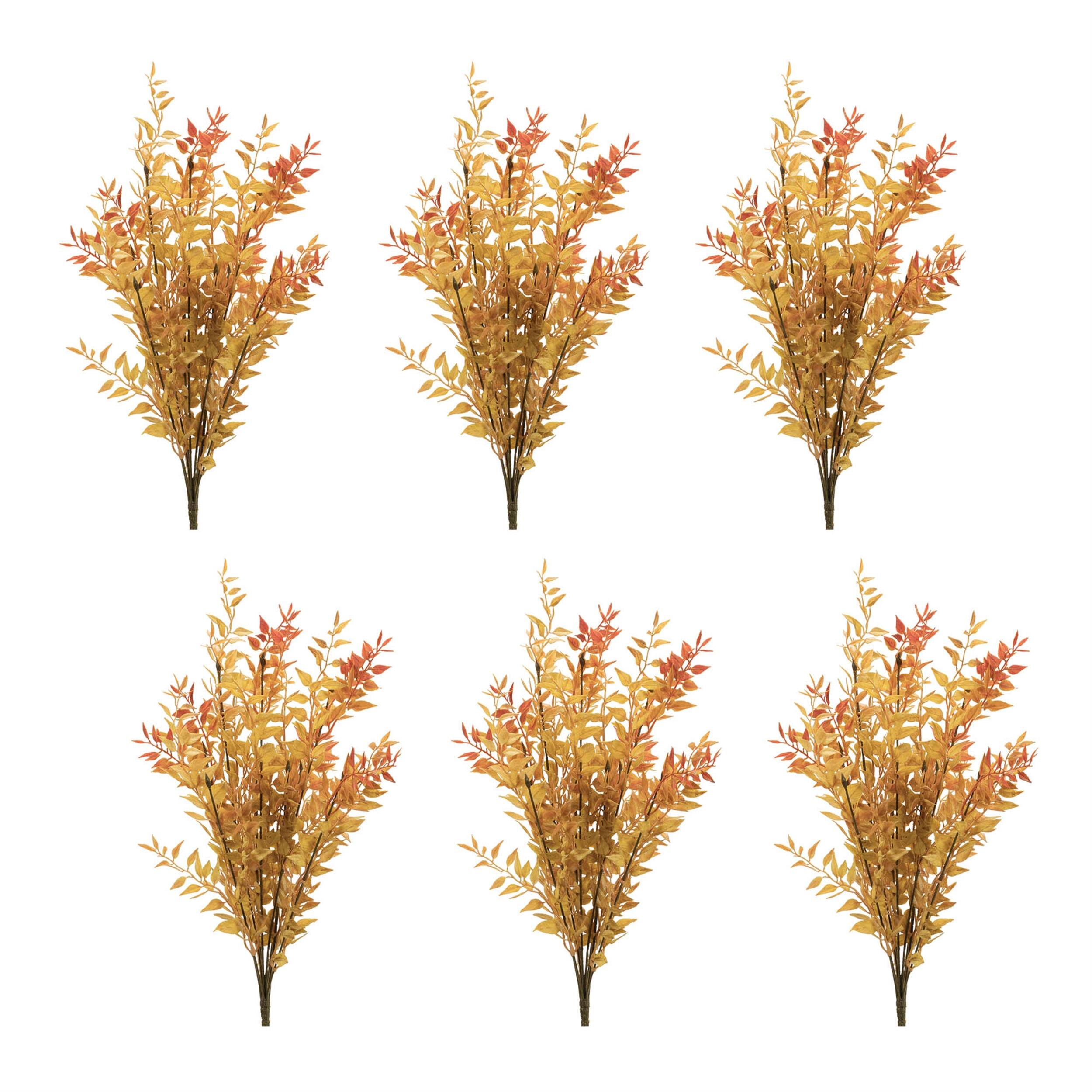 BreeBe Fall Foliage Bush (Set of 6) Orange, Yellow 95890DS - Best Buy