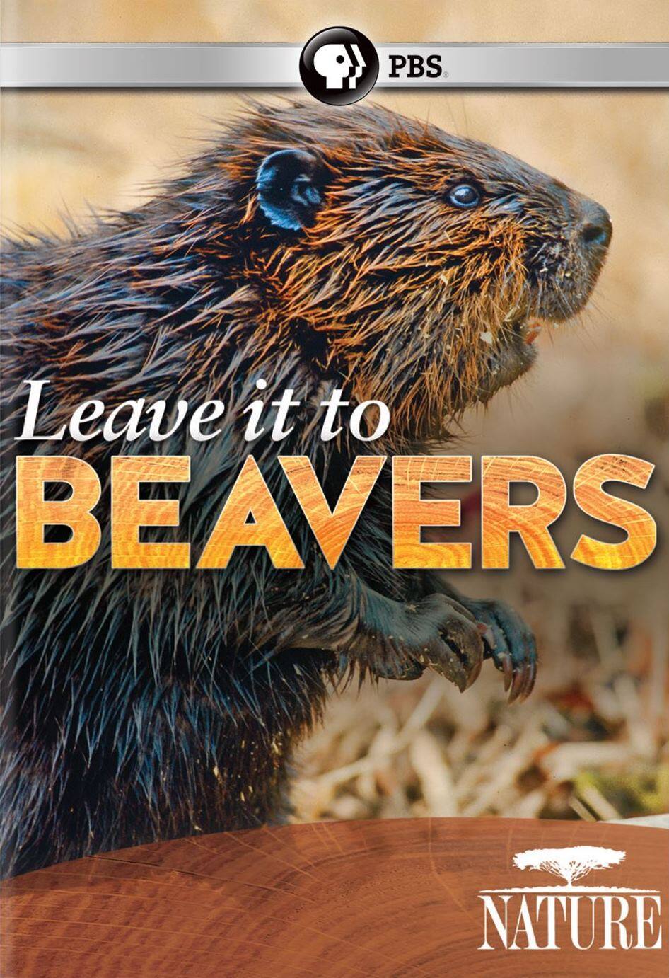 Best Buy: Nature: Leave It to Beavers