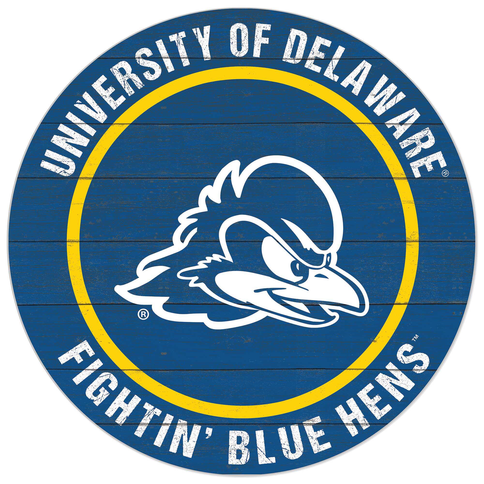 Jardine Delaware Fightin' Blue Hens 20'' x 20'' Indoor/Outdoor Circle ...