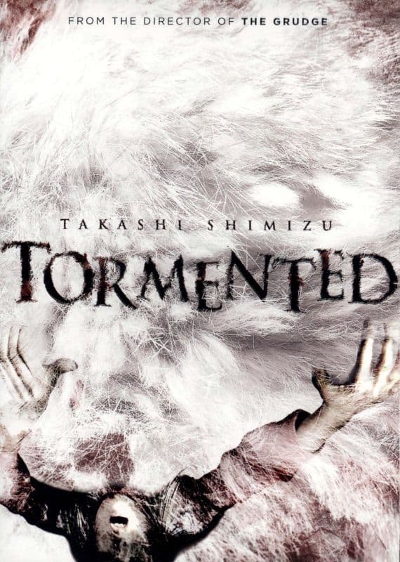 Best Buy: Tormented [DVD] [2011]